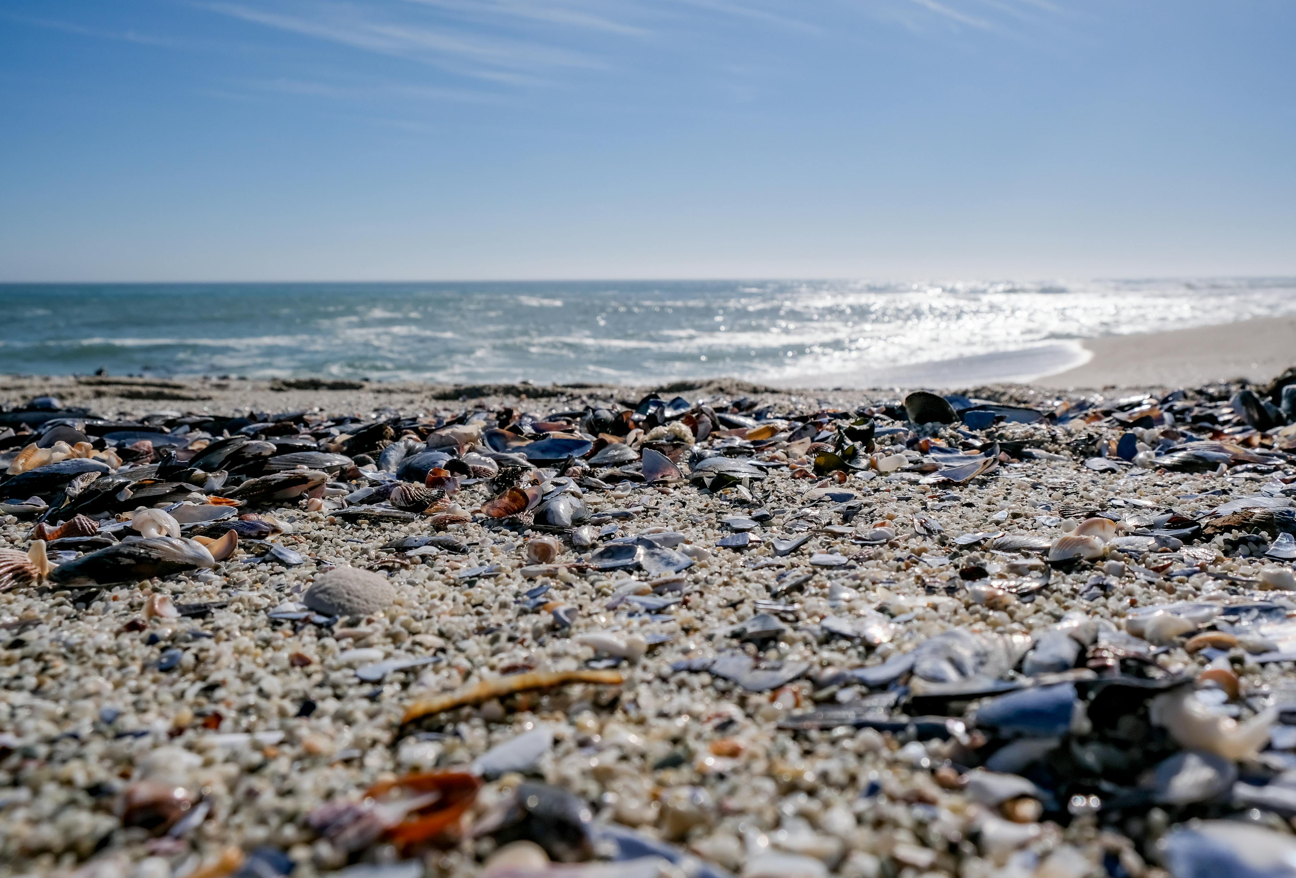 Clear Sky over Beach · Free Stock Photo