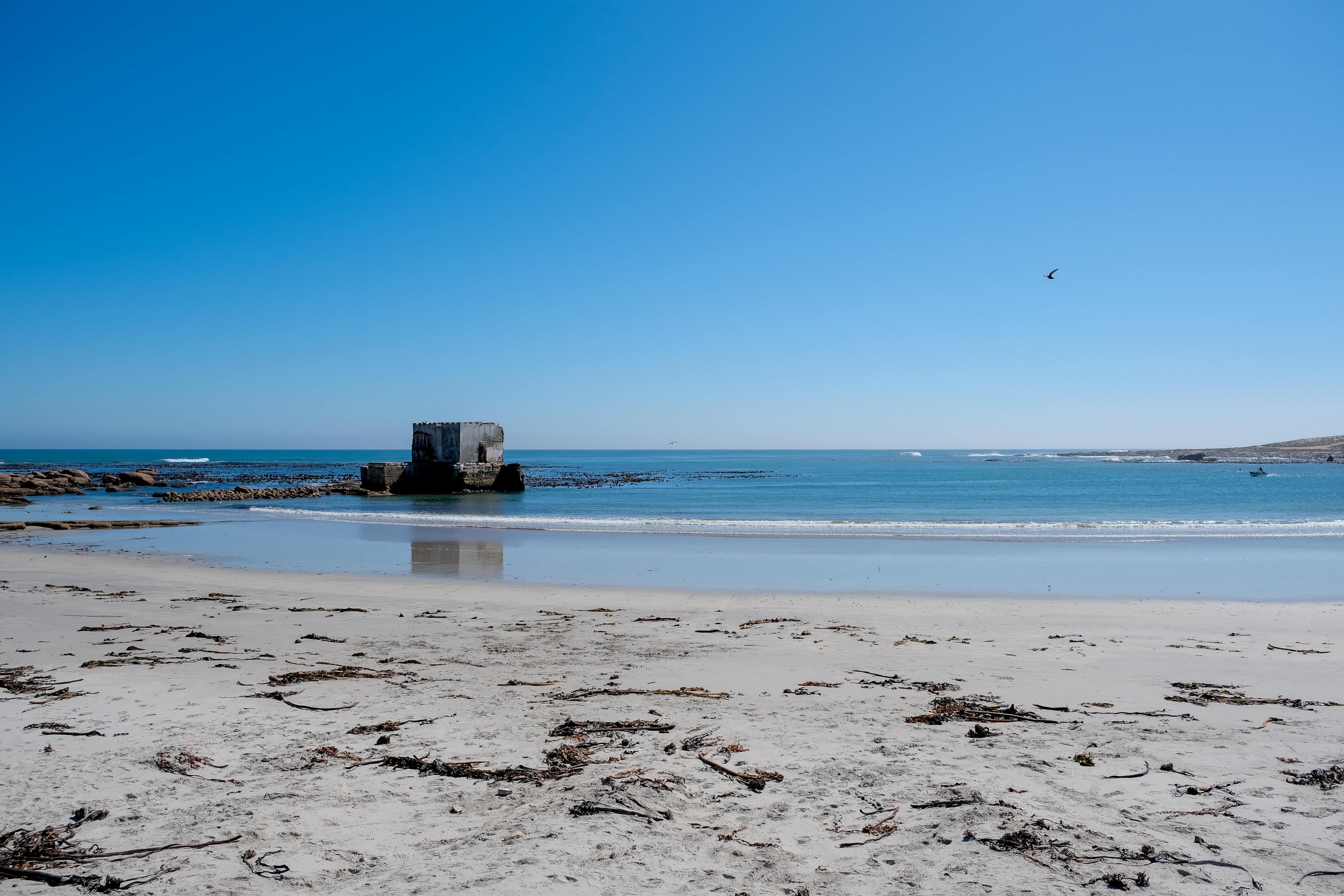Waves on Beach Shore · Free Stock Photo