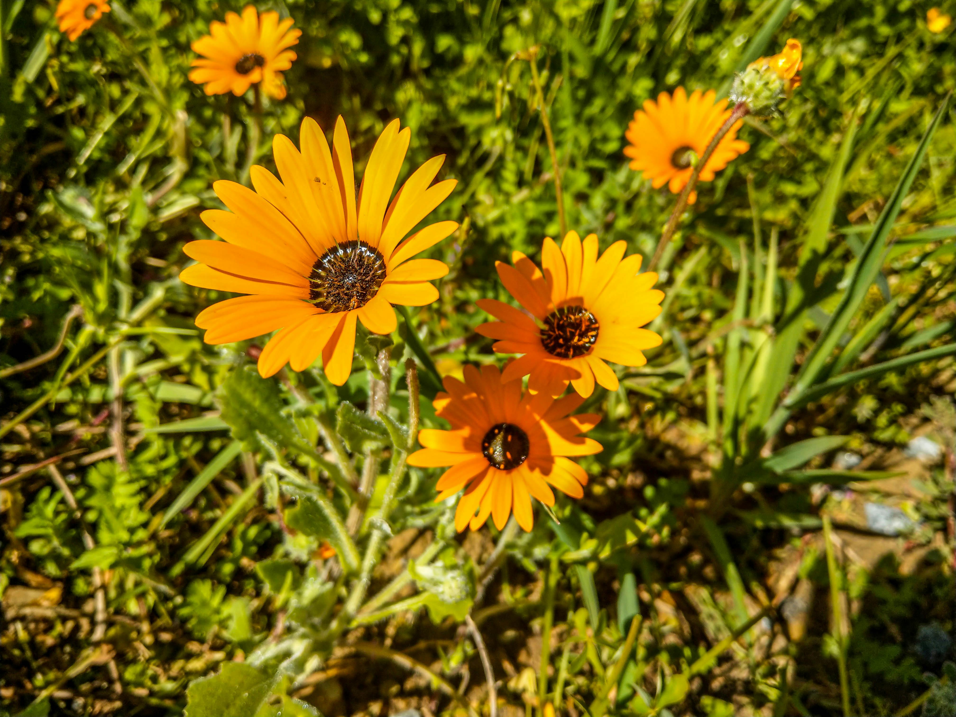 kaylin Jacobs - การถ่ายภาพ