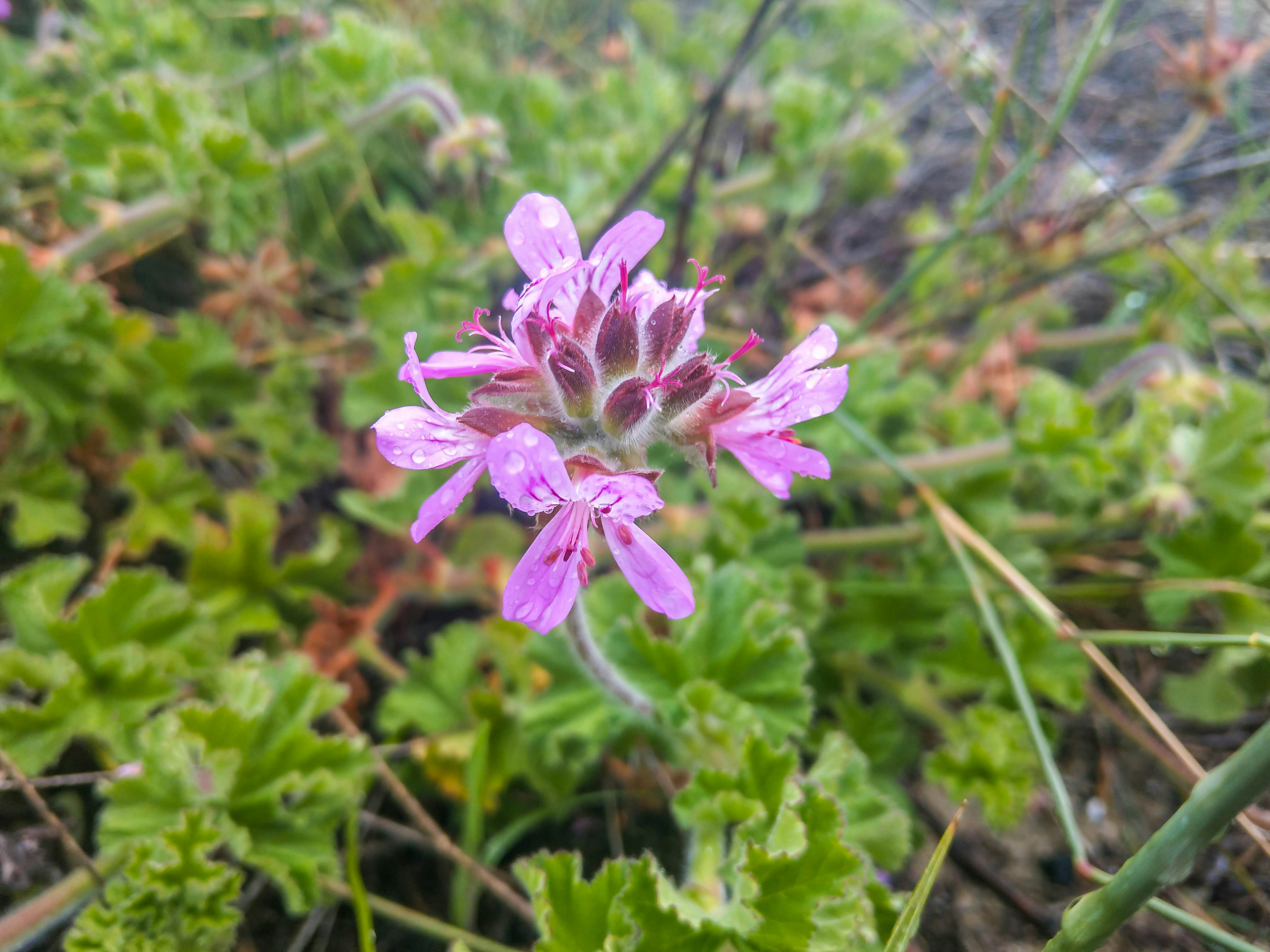 kaylin Jacobs - fotografia