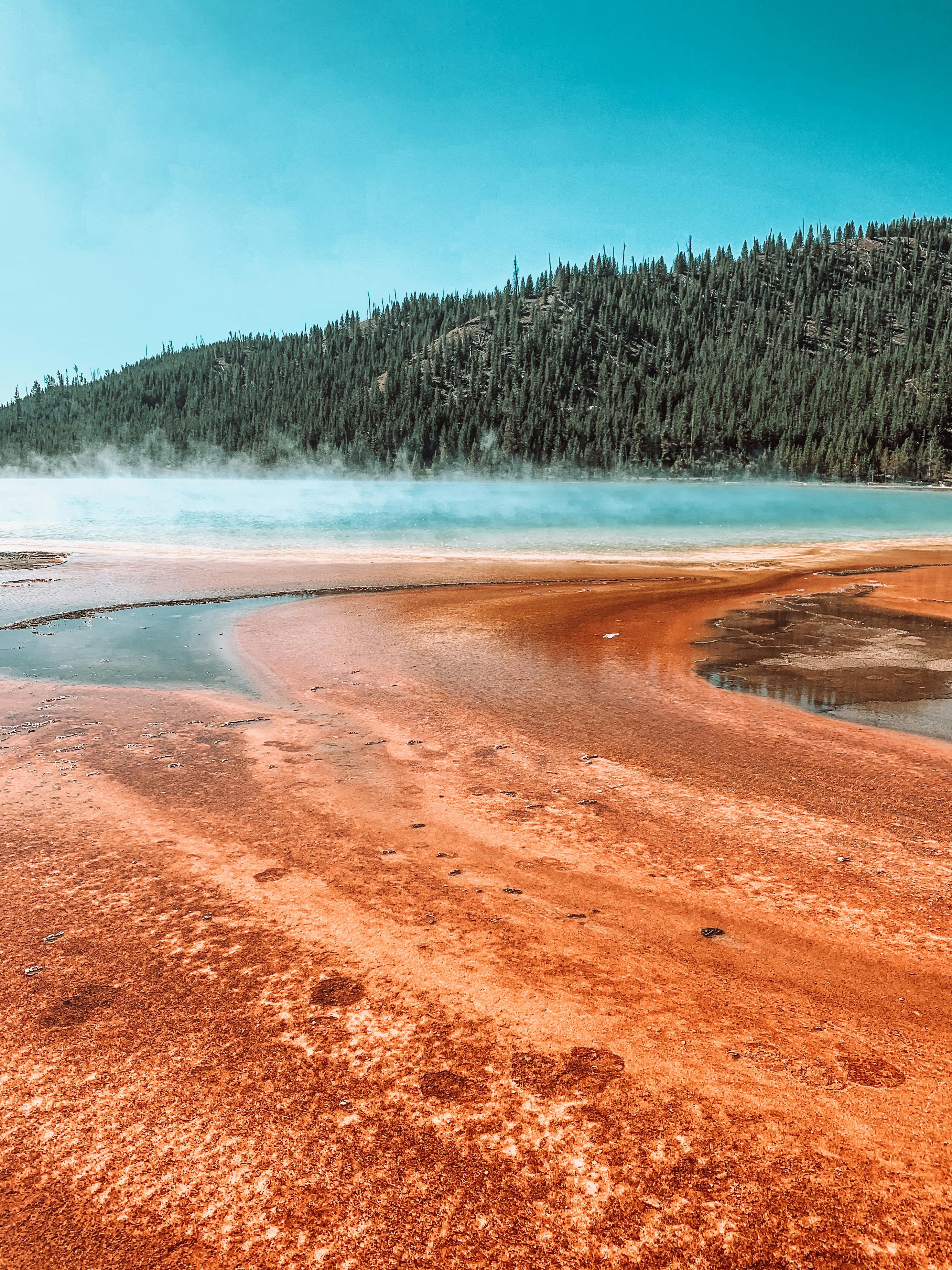 Geothermal spring on sandy terrain near fir forest on sunny day · Free ...