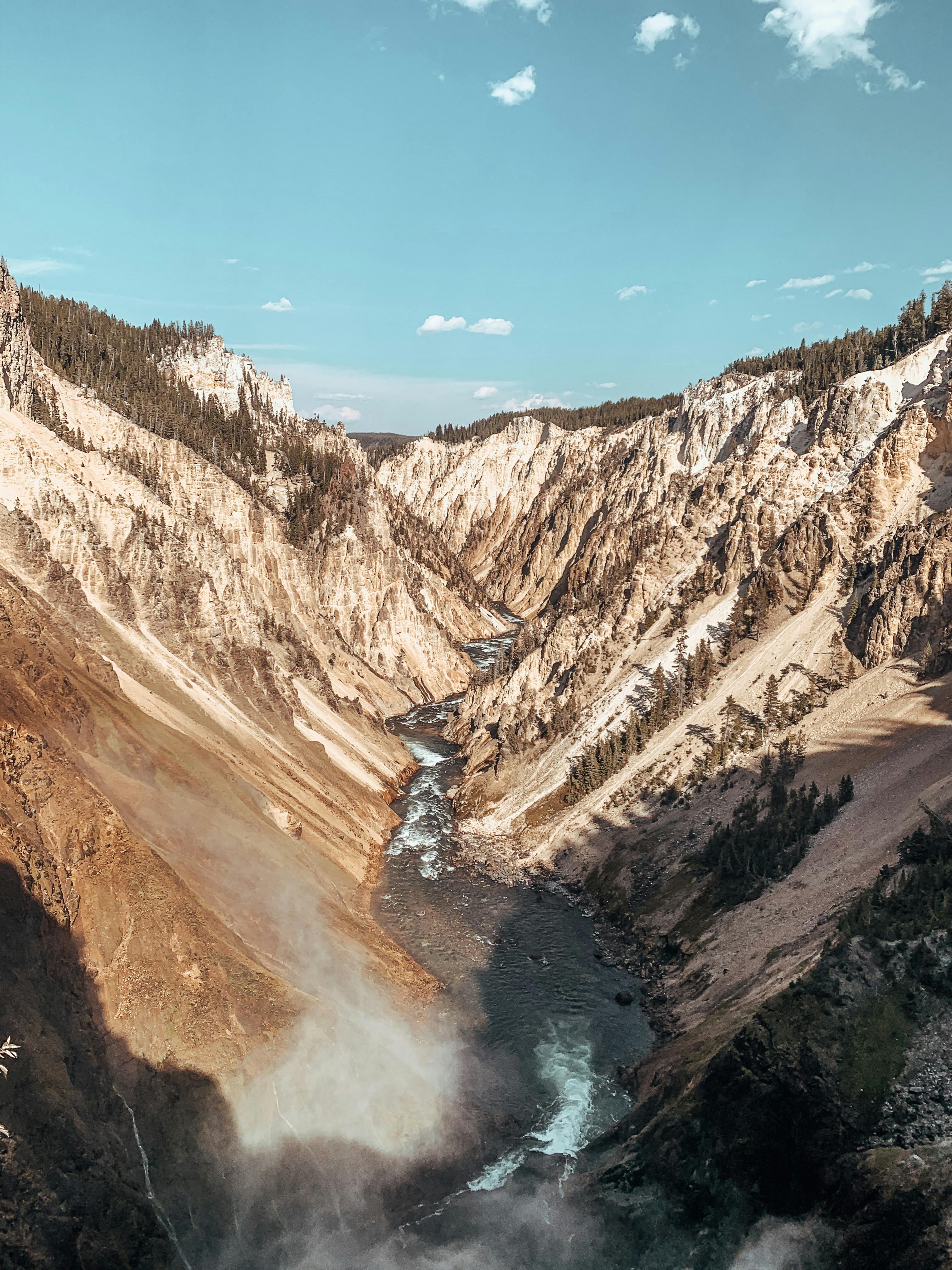 Rocky canyon with evergreen forest against blue sky · Free Stock Photo