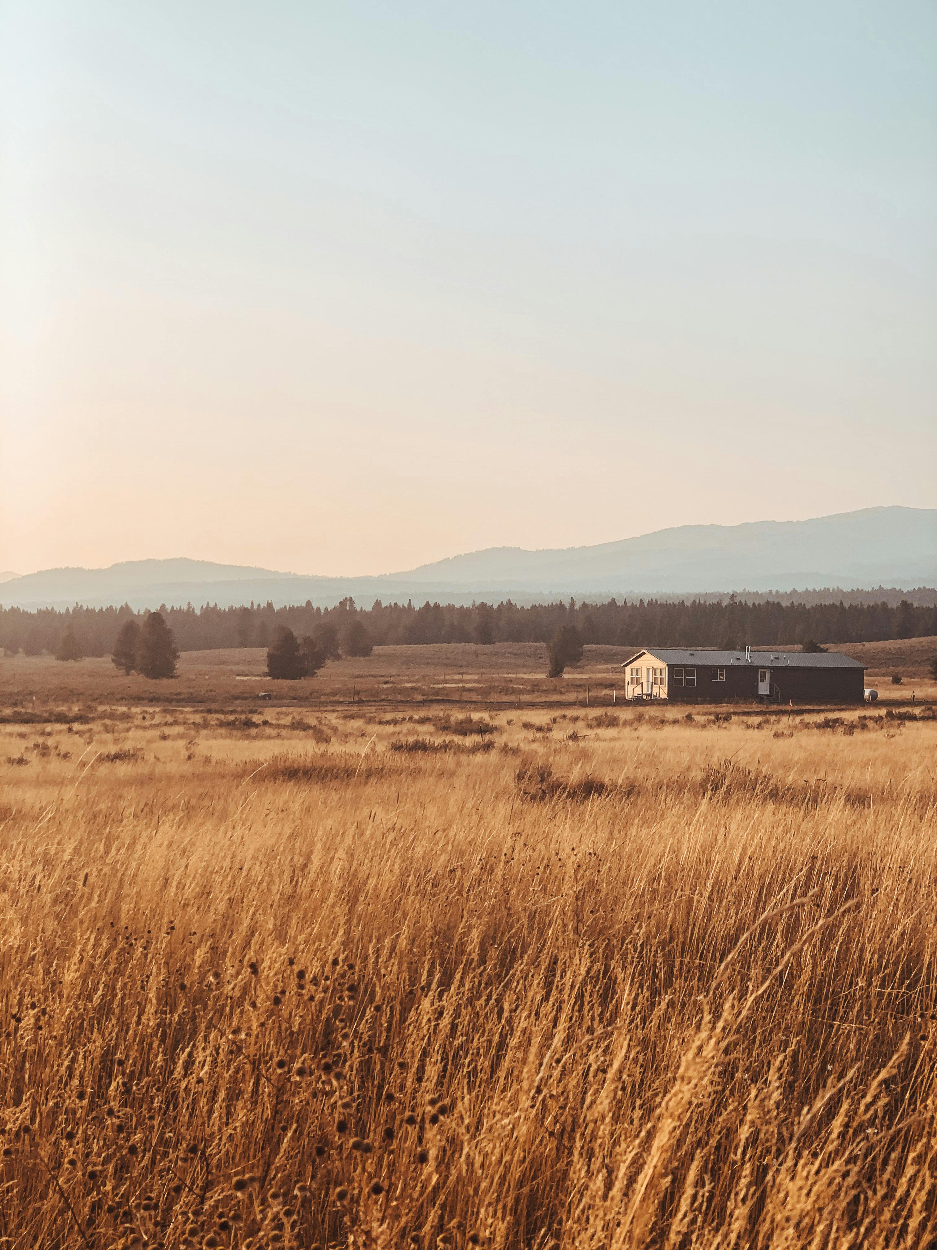 Picturesque dry grassy meadow in countryside at sundown · Free Stock Photo
