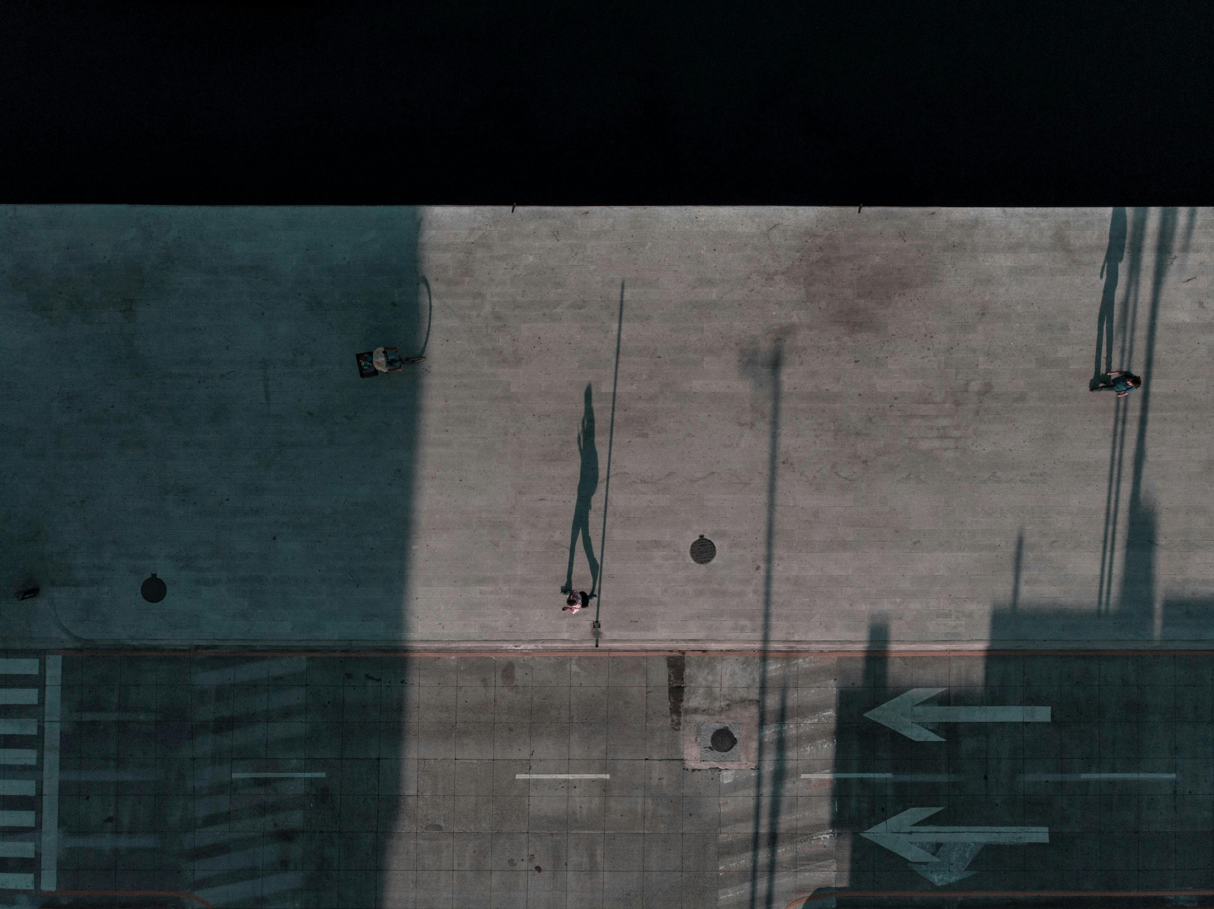 Top View of a Sidewalk near the Trees of the Beach · Free Stock Photo