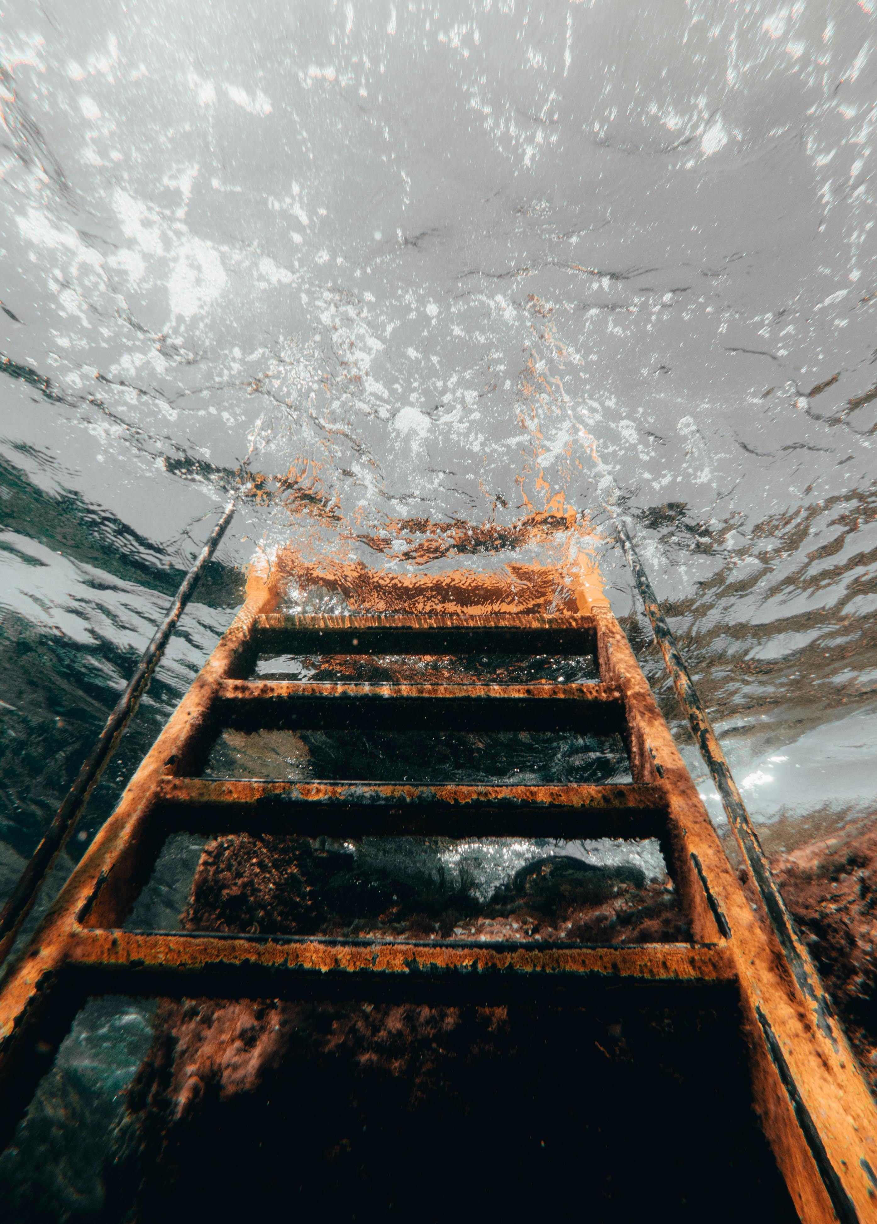 Ladder on Water · Free Stock Photo