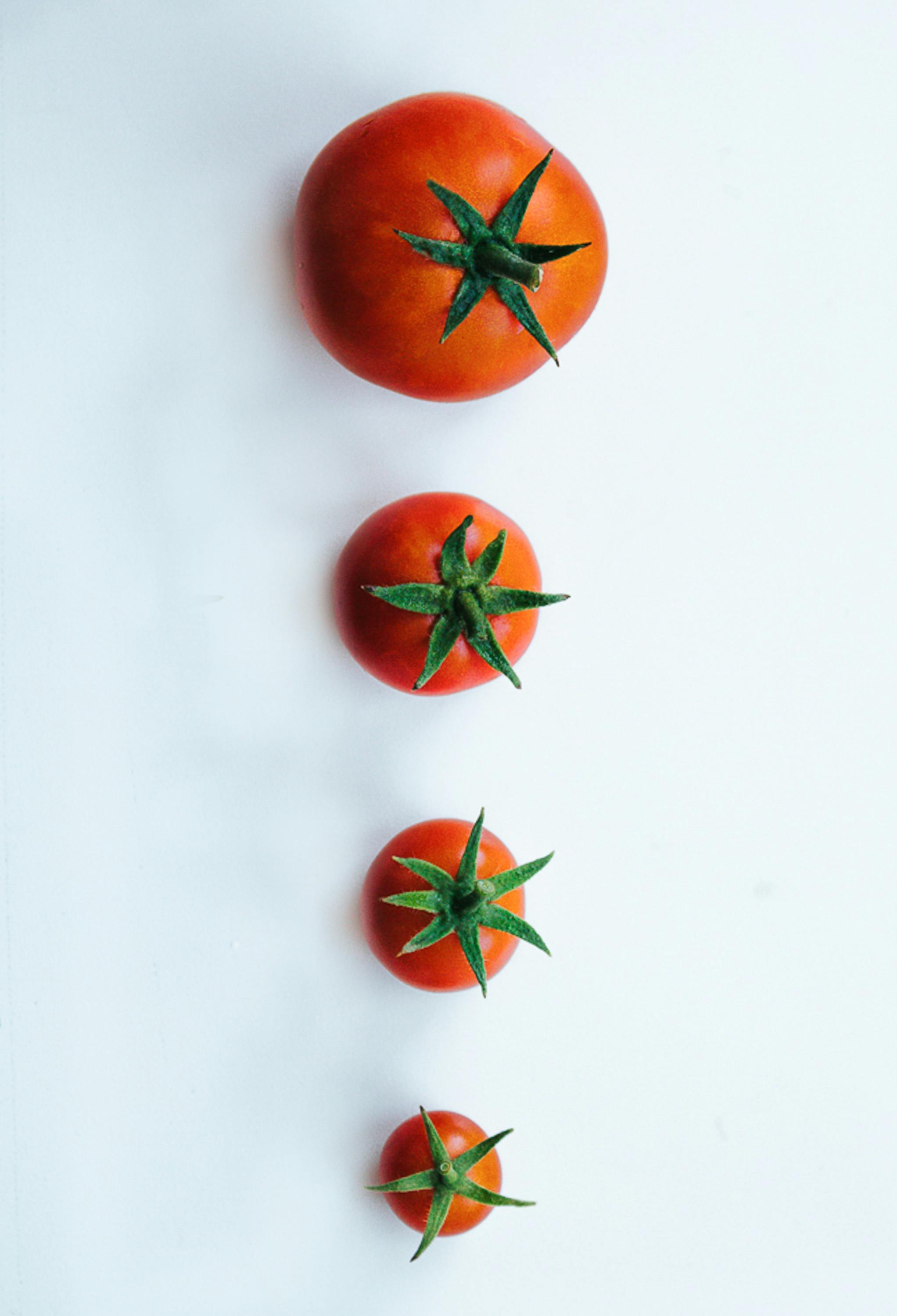 A Tomatoes Biggest to Smallest · Free Stock Photo