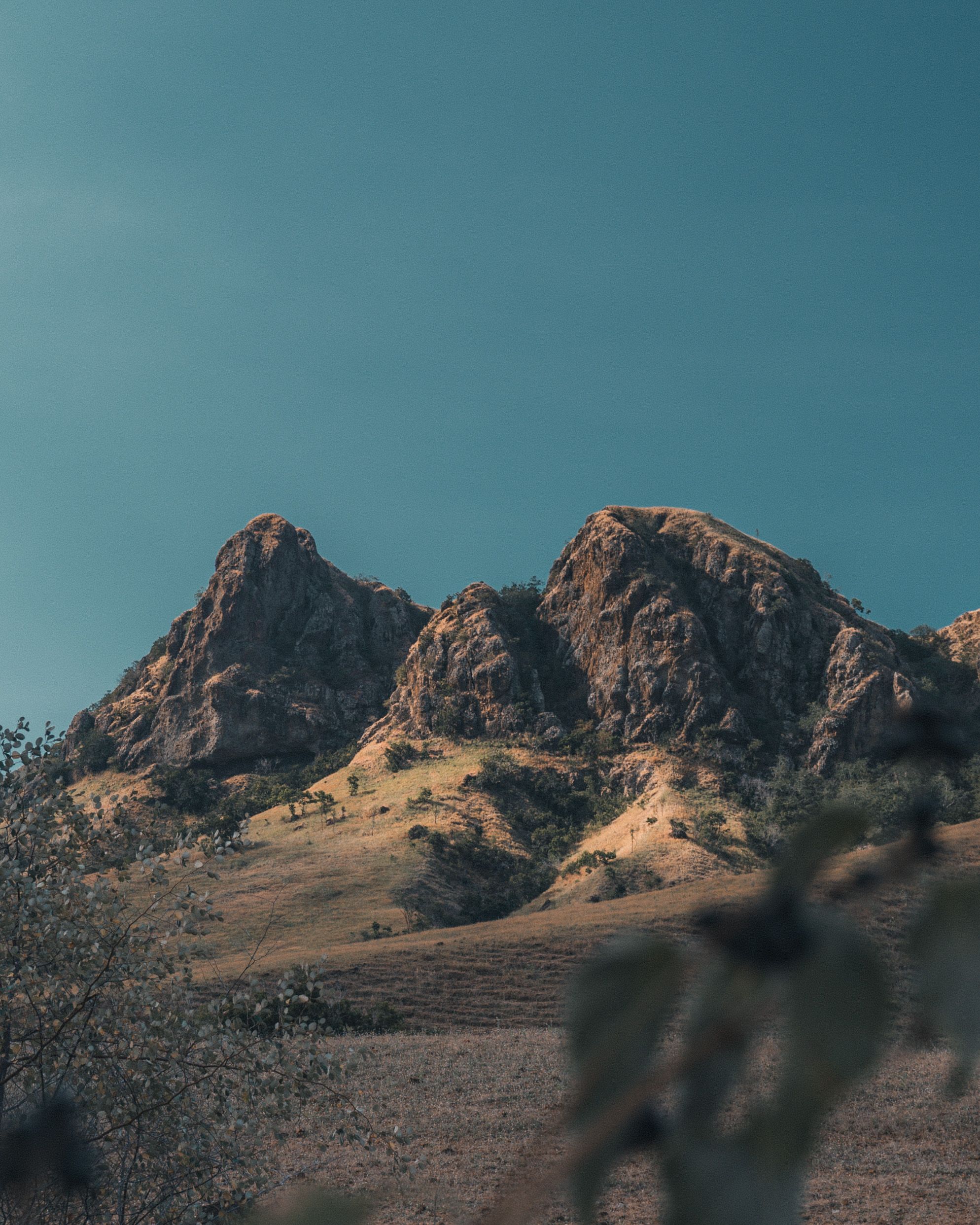 Fjord in Flatland · Free Stock Photo