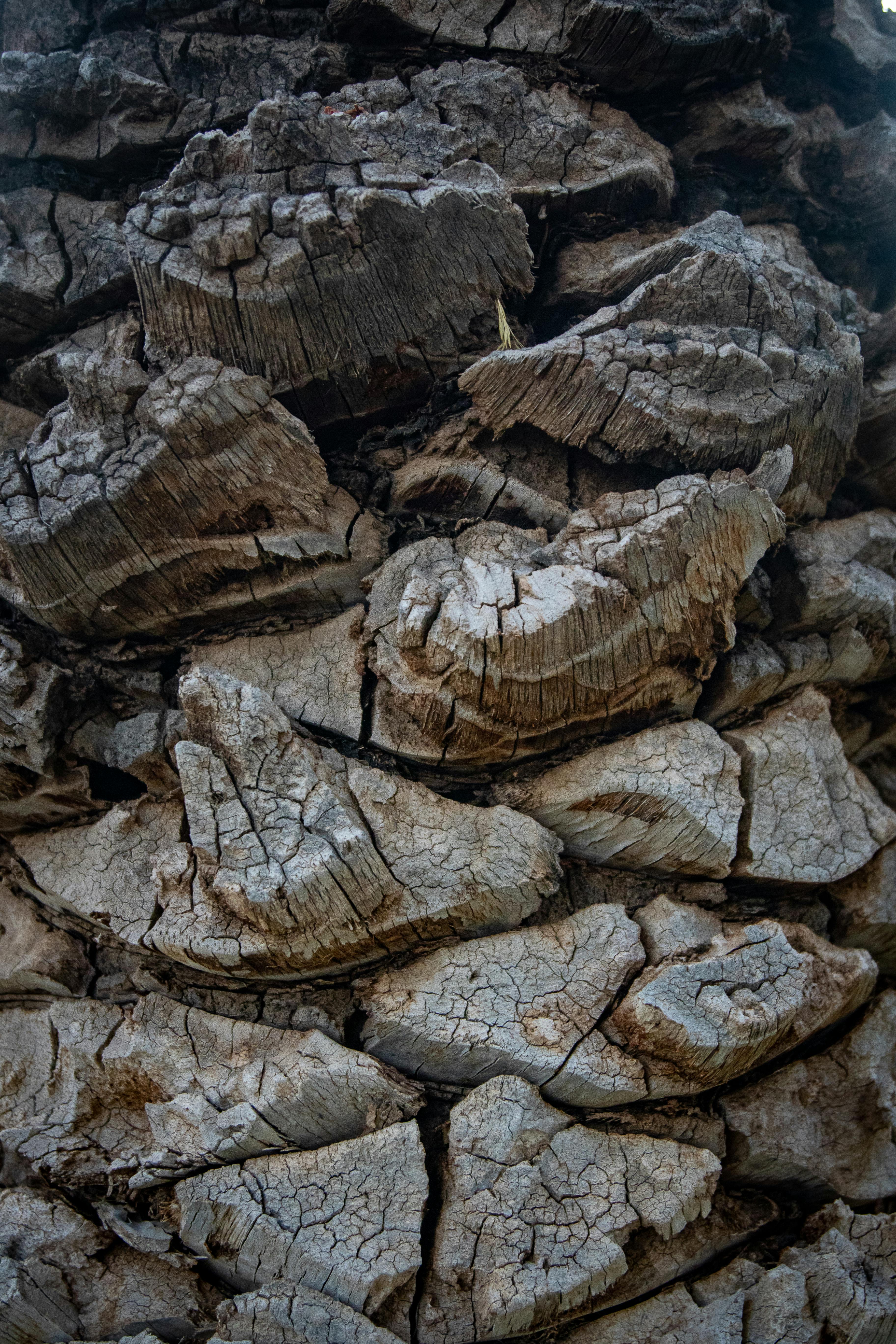 Close up of Rocks · Free Stock Photo