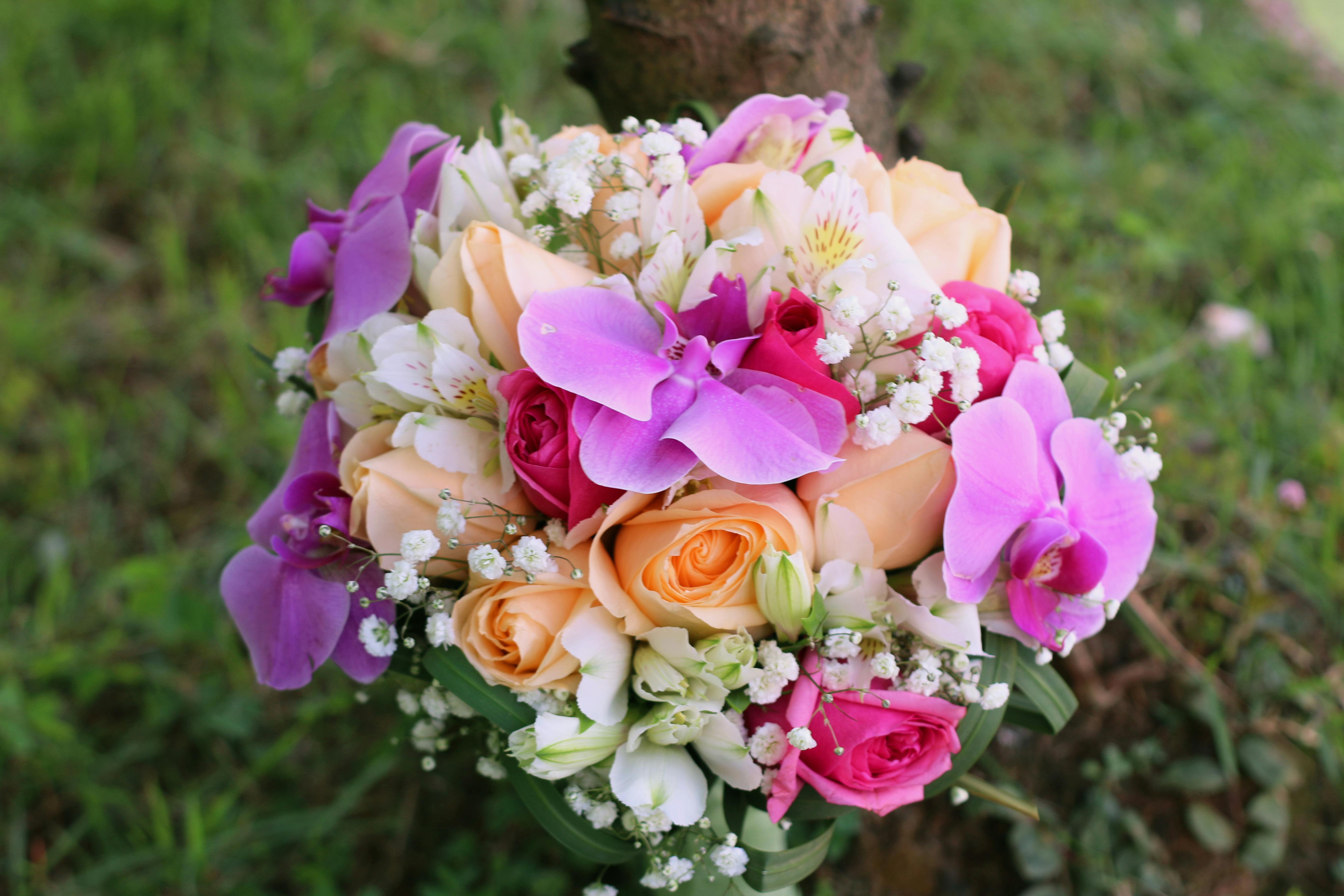 Roses and Orchids on a Bouquet · Free Stock Photo
