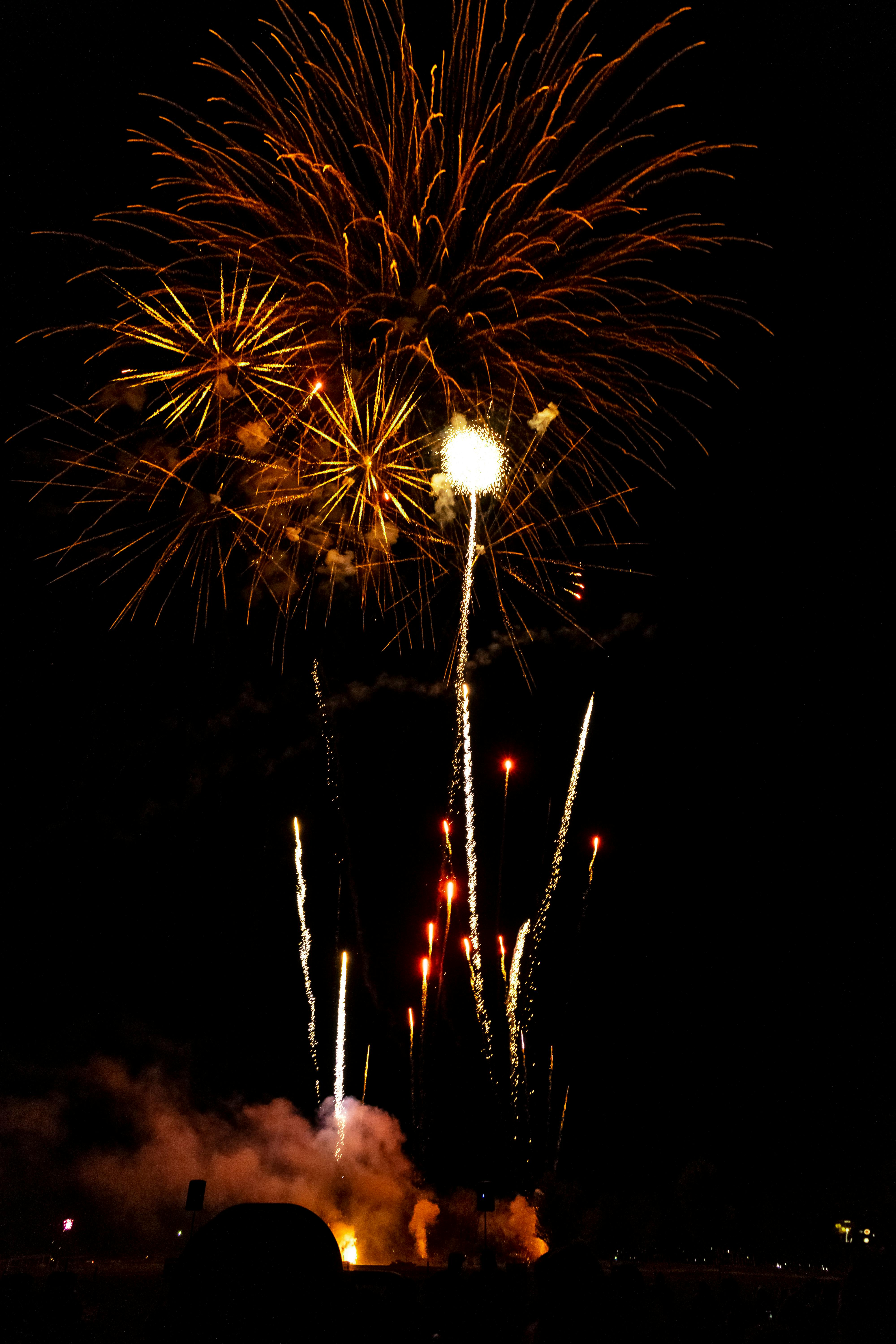Beautiful Fireworks in the Sky During Night Time · Free Stock Photo