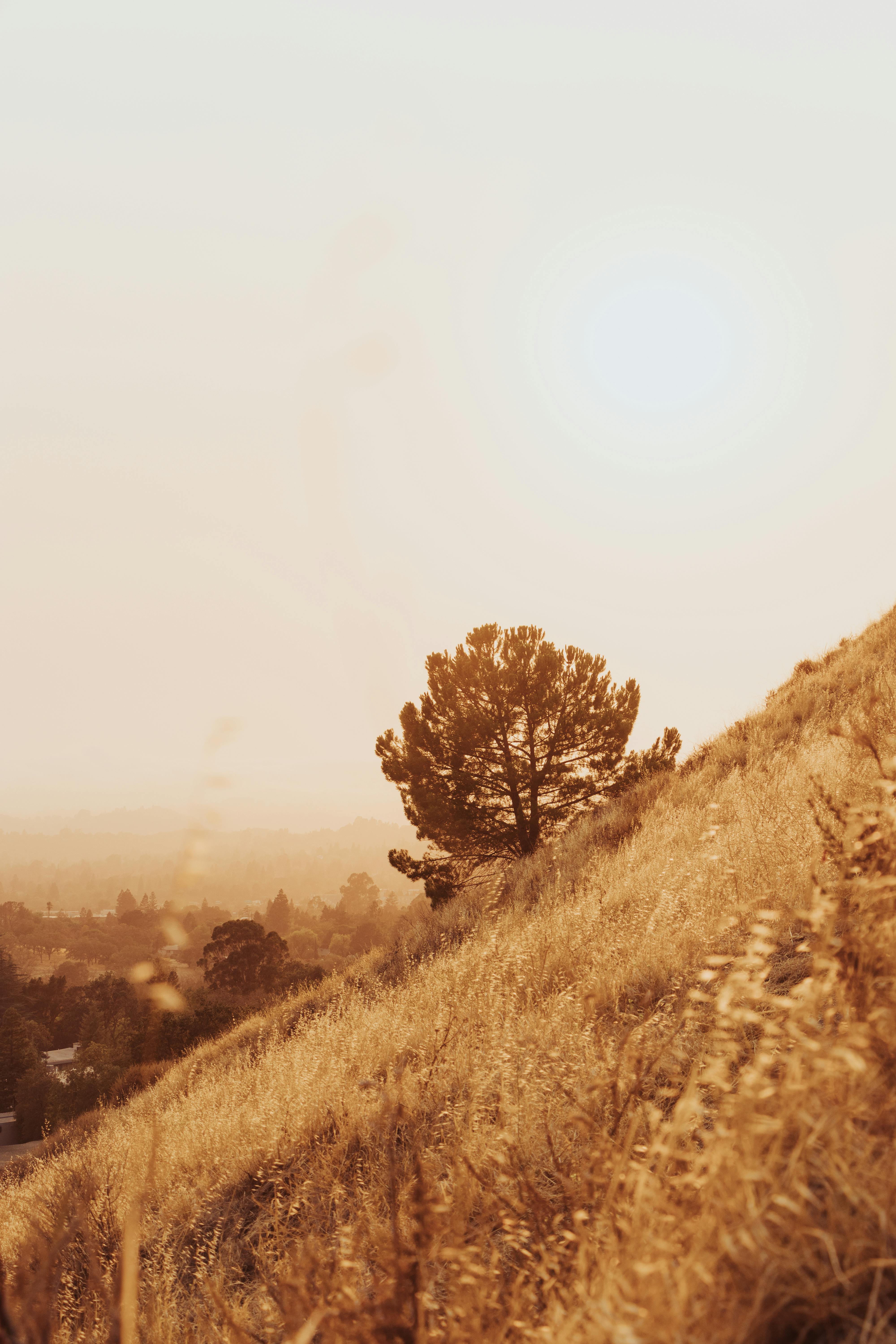 Dusky Smog Weather Photos, Download The BEST Free Dusky Smog Weather ...