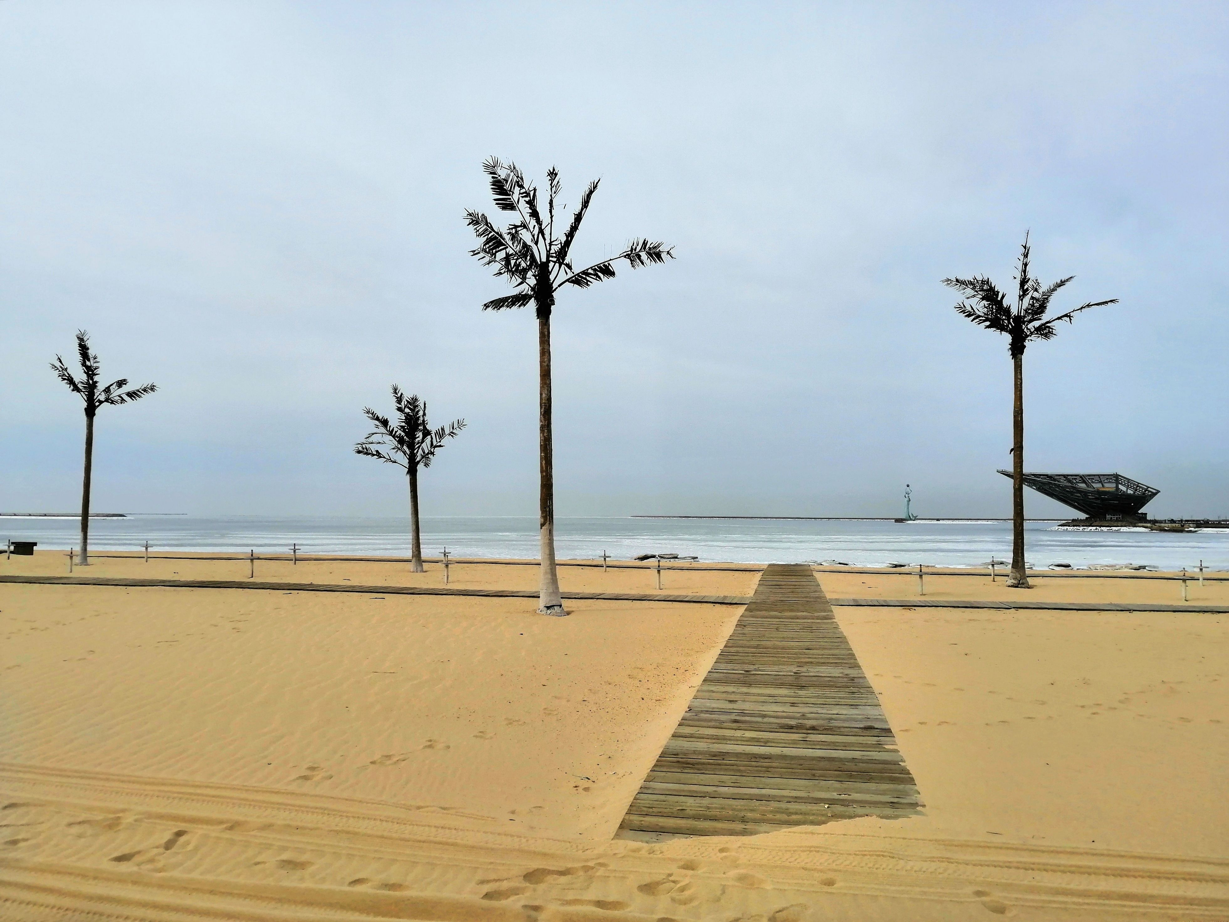 A Curved Shore on the Beach · Free Stock Photo