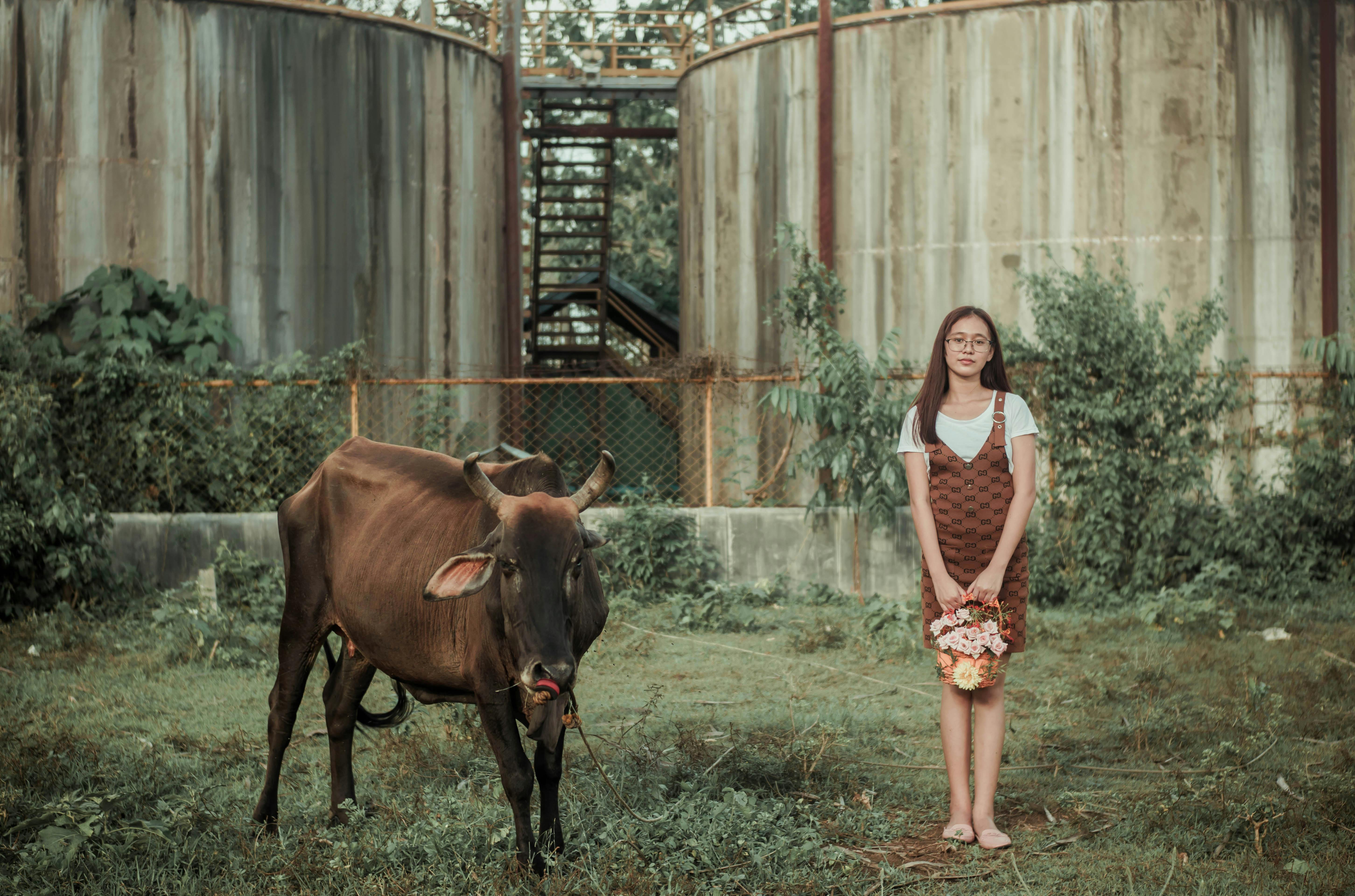 Young woman with bull in enclosure · Free Stock Photo