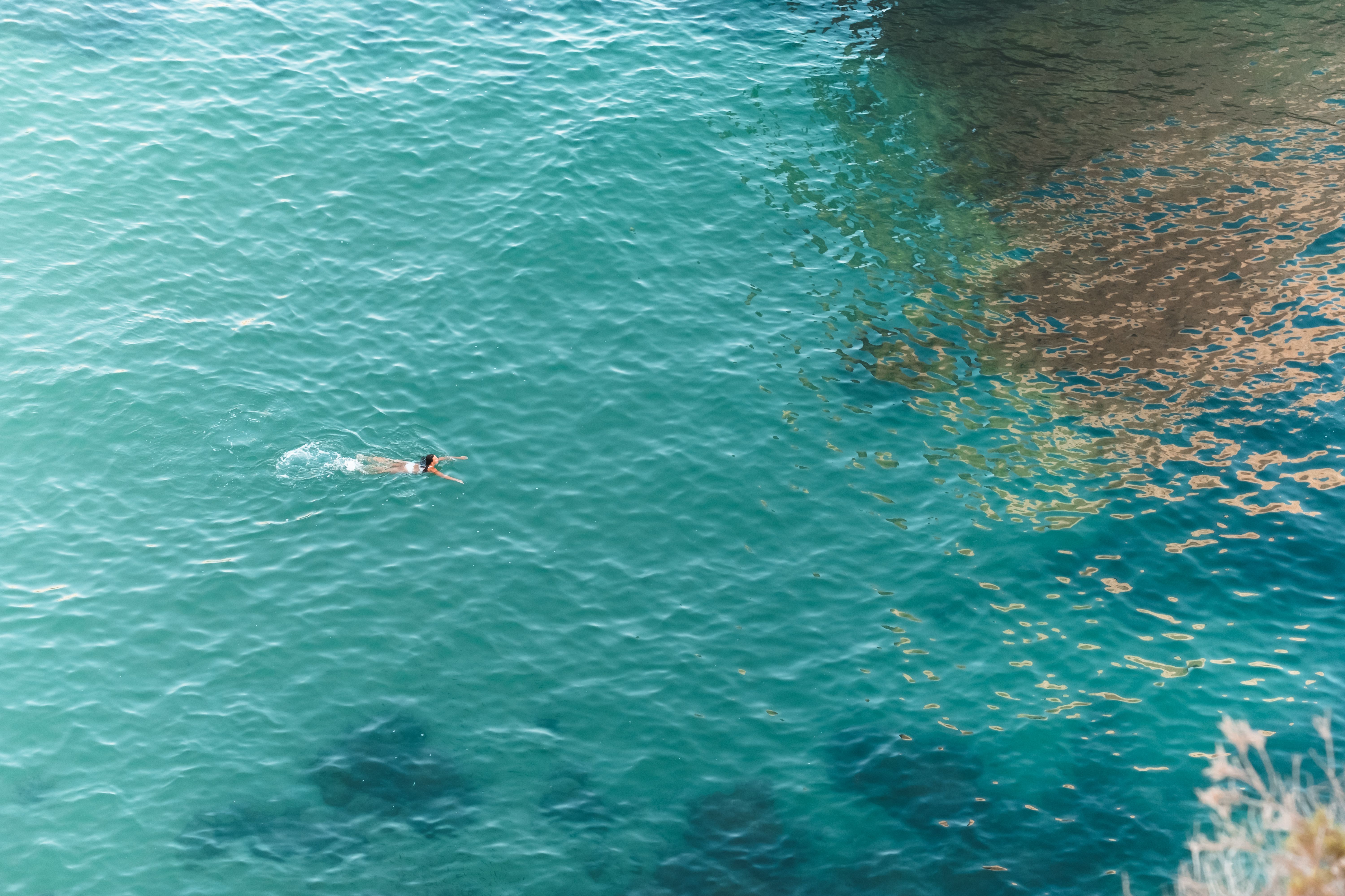 People Swimming on Sea · Free Stock Photo
