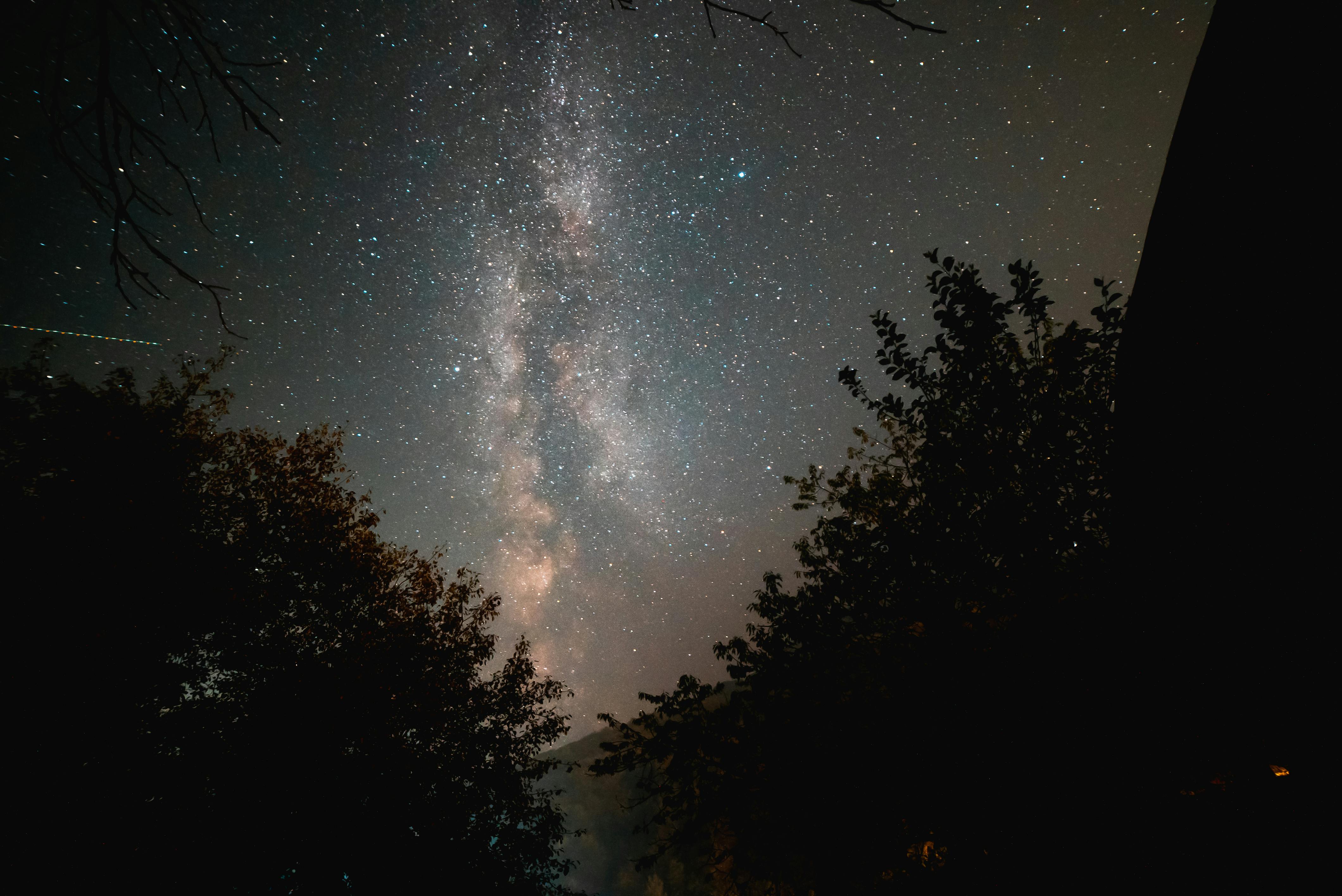 A Starry Night · Free Stock Photo