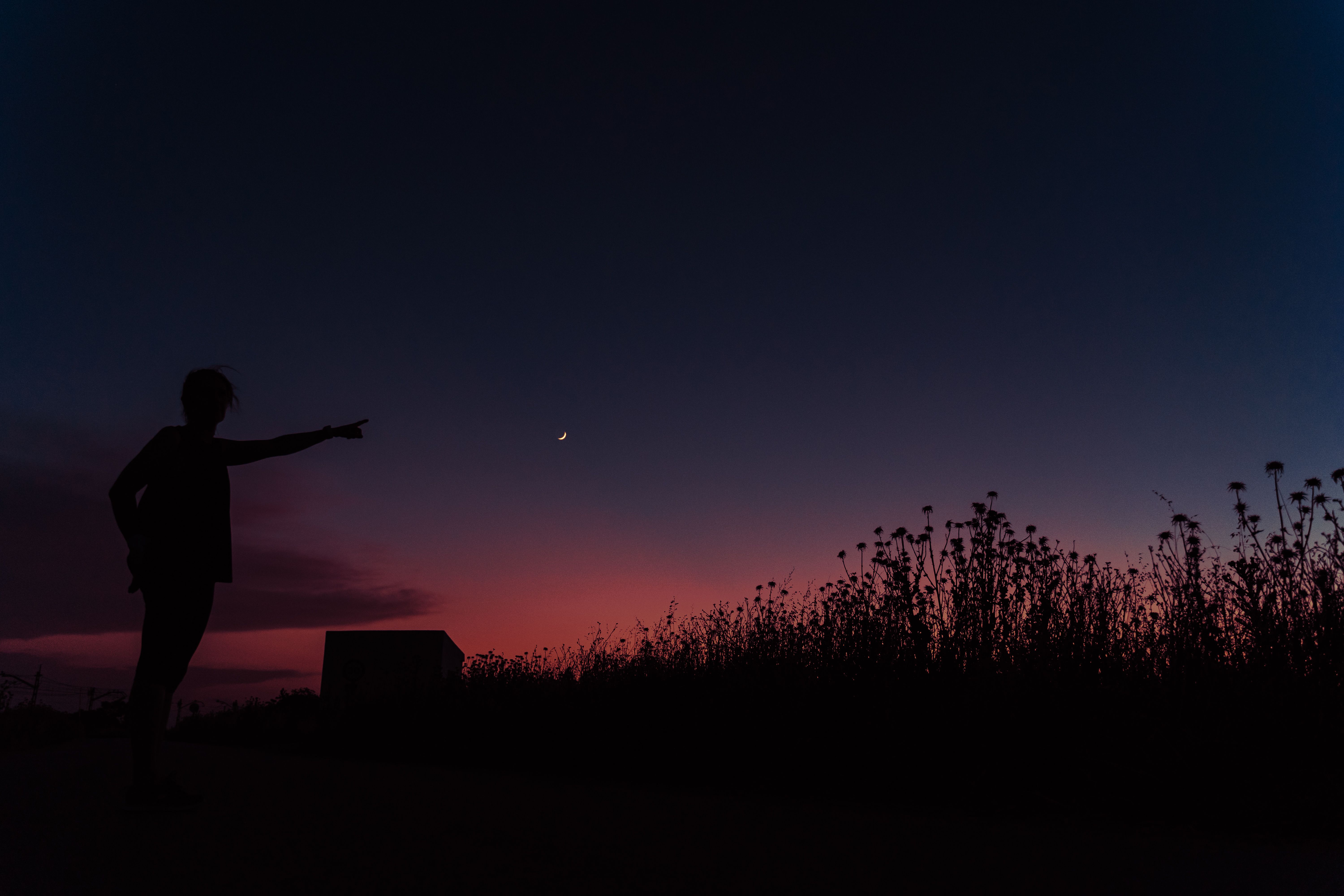 Person Holding Roman Candle at Night · Free Stock Photo