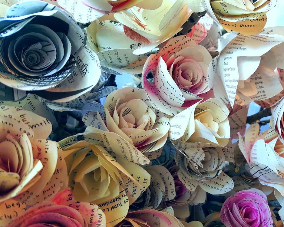 Kostenloses Foto Zum Thema Blumen Bunt Diy kostenloses-foto-zum-thema-blumen-bunt-diy