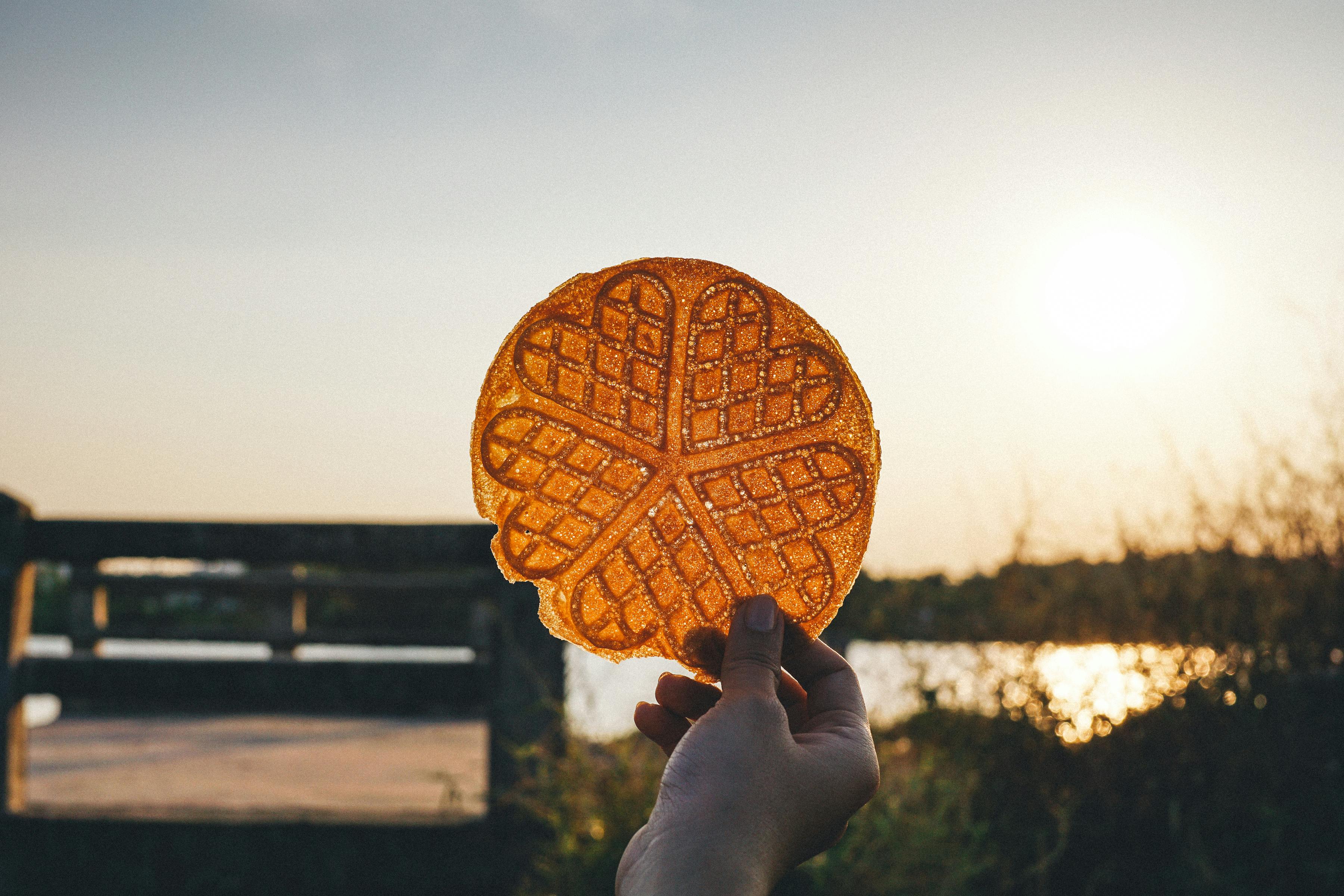 Person Holder Round Brown Decor · Free Stock Photo