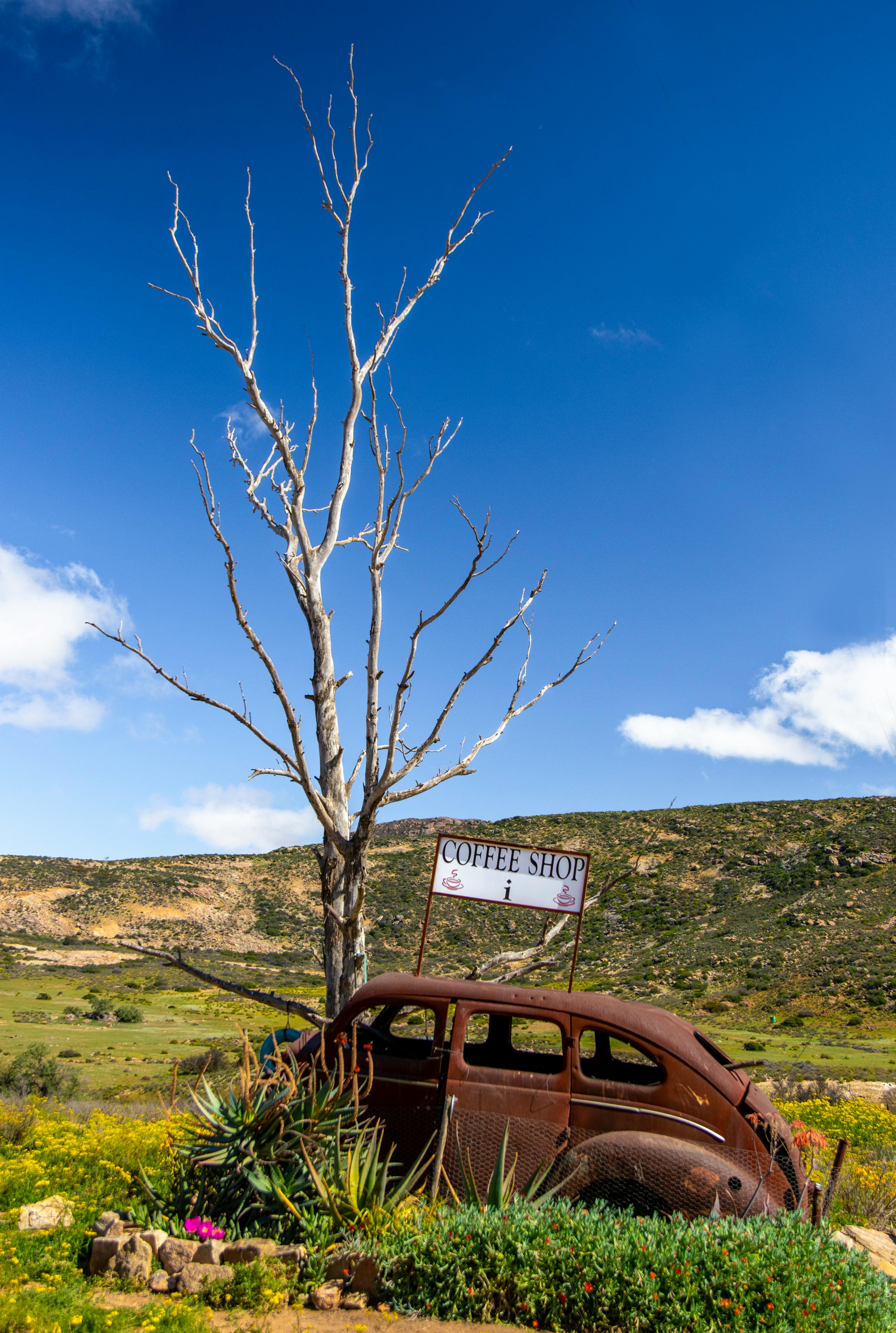 Junk Sign Photos, Download The BEST Free Junk Sign Stock Photos & HD Images