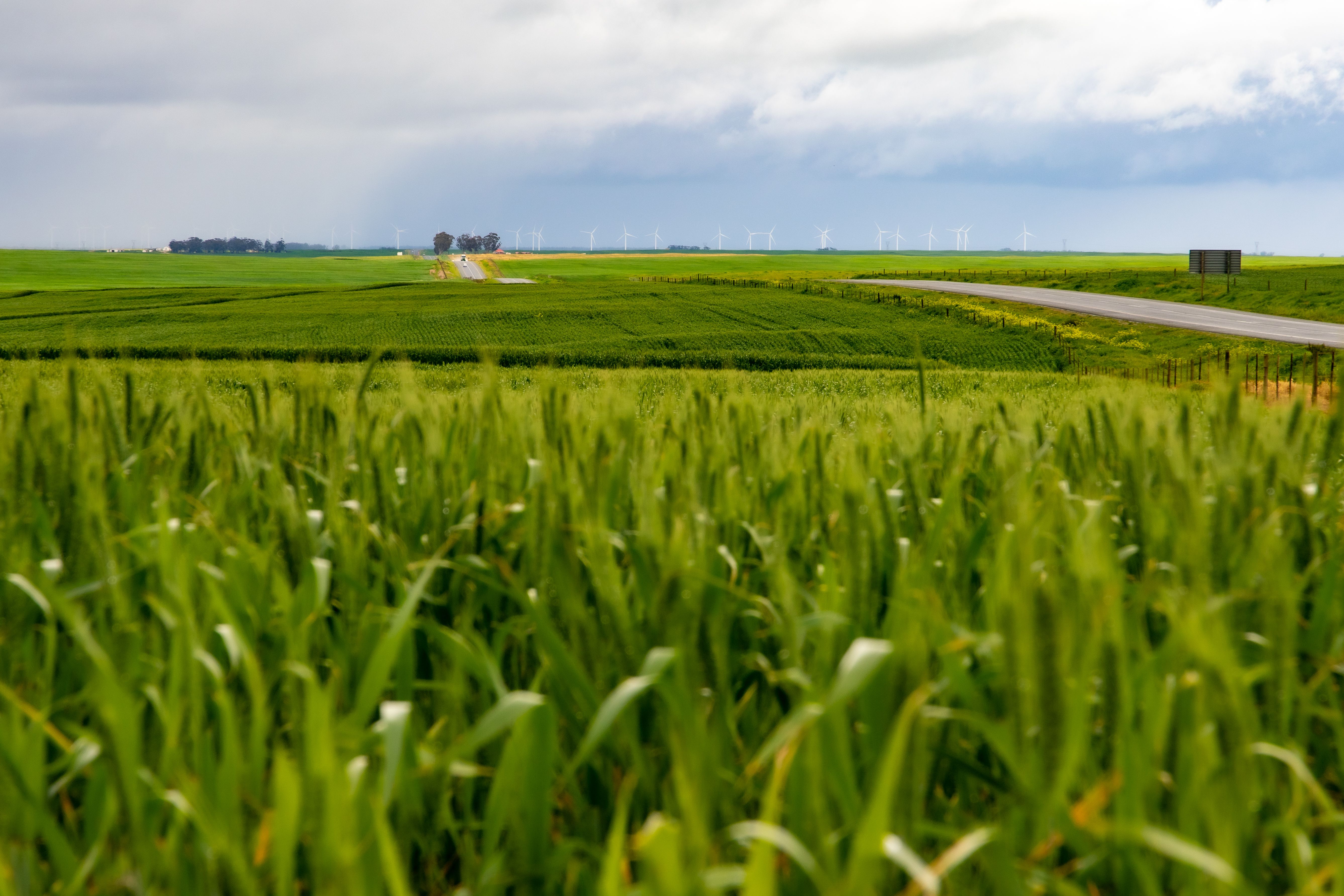 Photo of a Farmland Near a Road · Free Stock Photo
