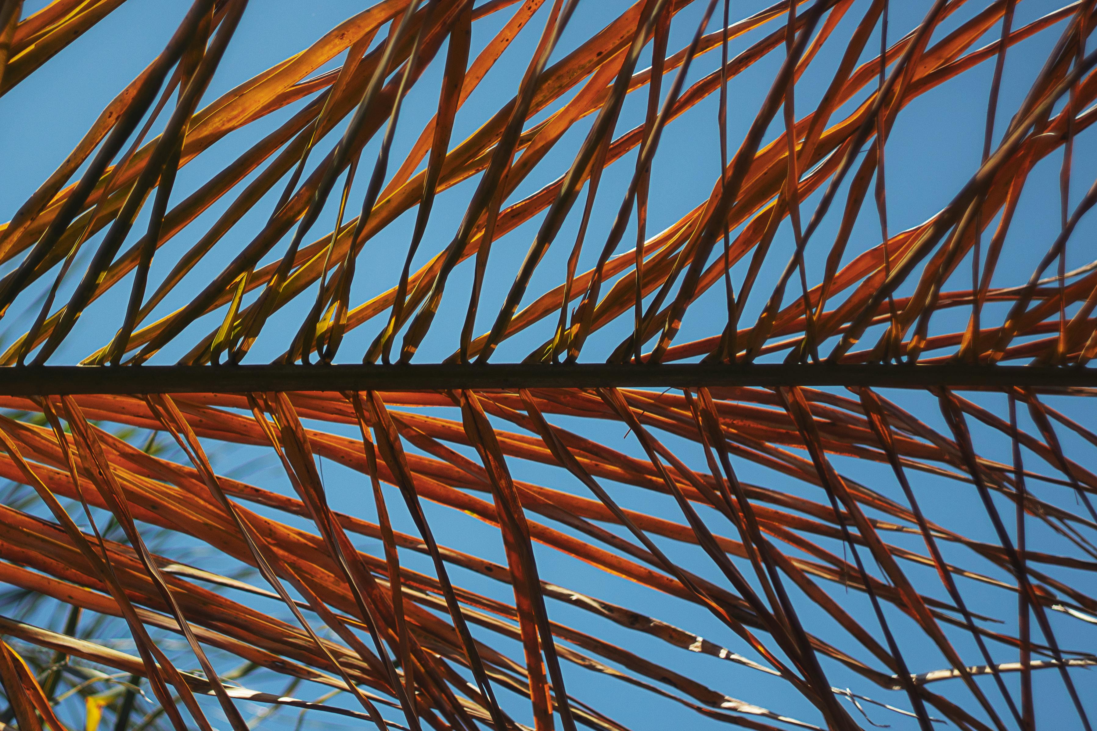 Vincent Peters - Photography