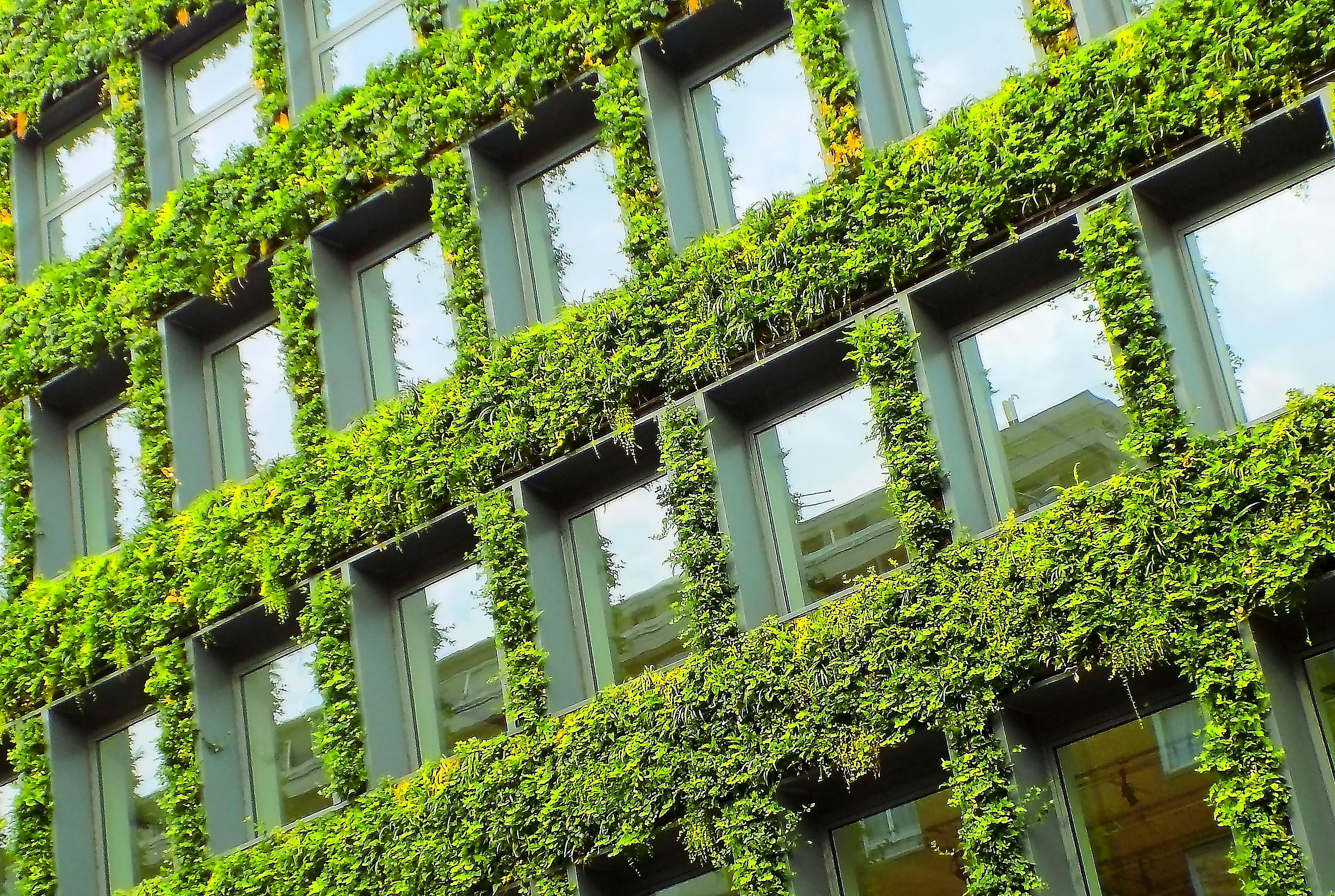 Free stock photo of building, leafy building