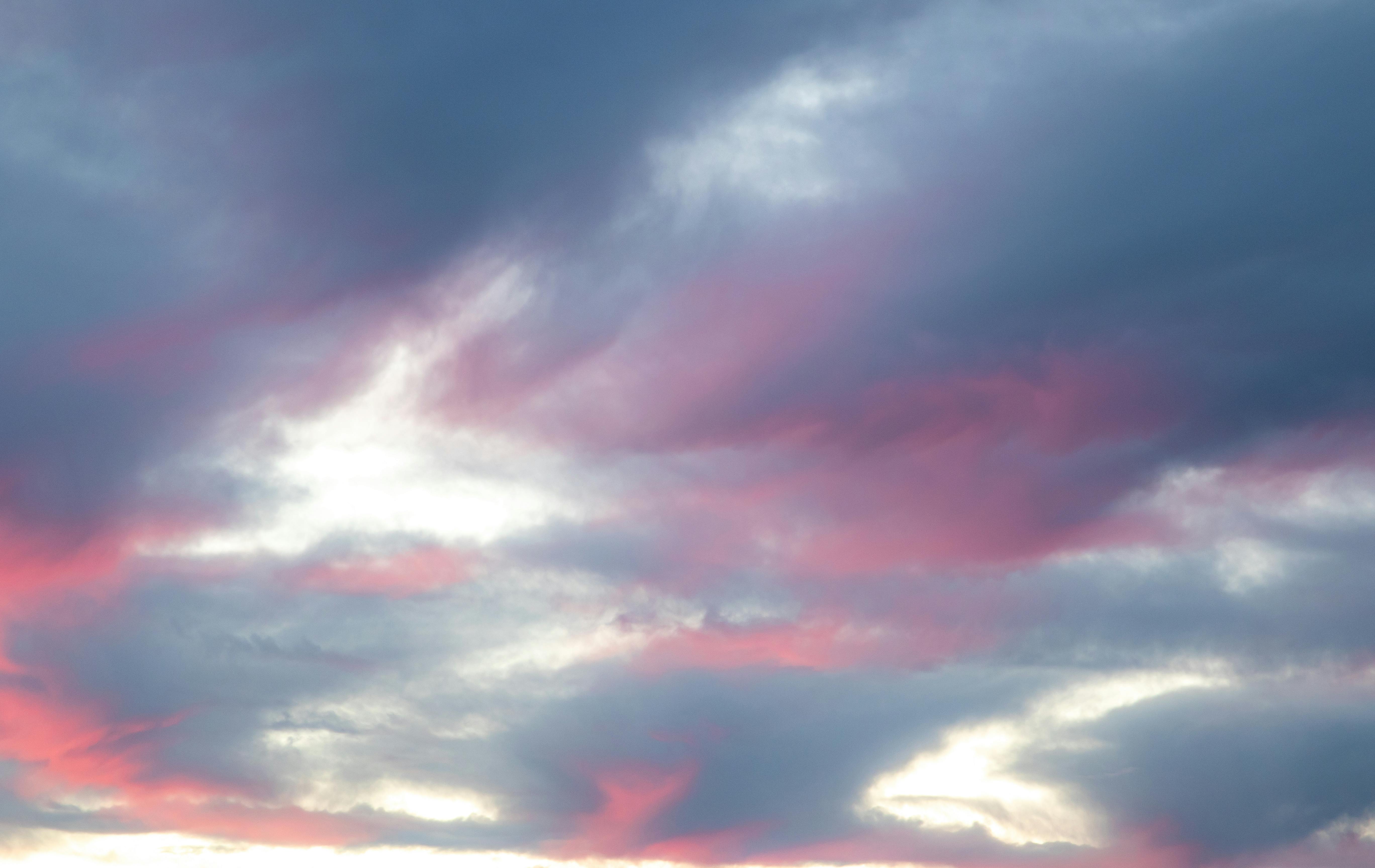 Person Posing in Condor Costume · Free Stock Photo