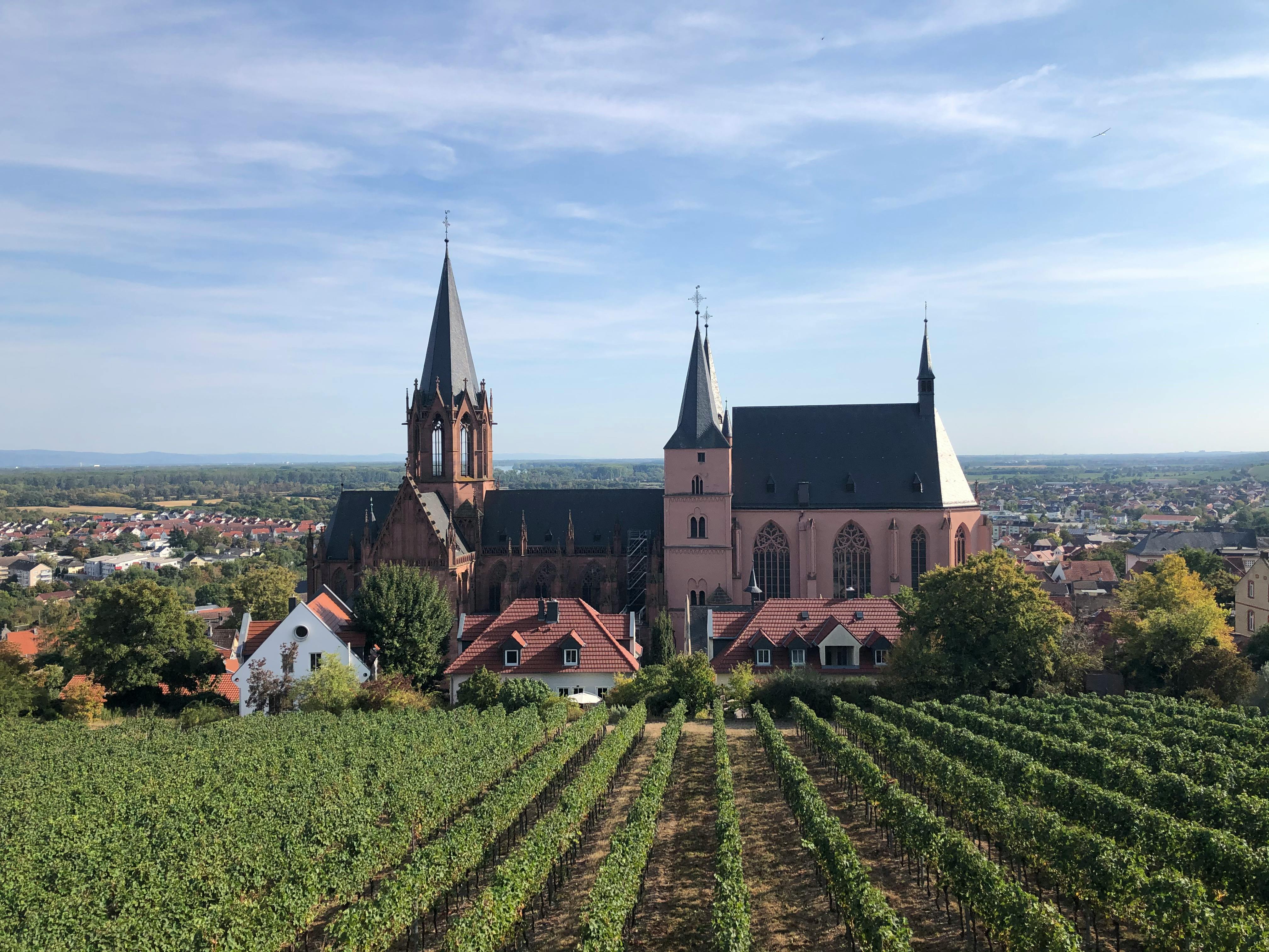 10+ Engaging Burgundy Photos · Pexels · Free Stock Photos
