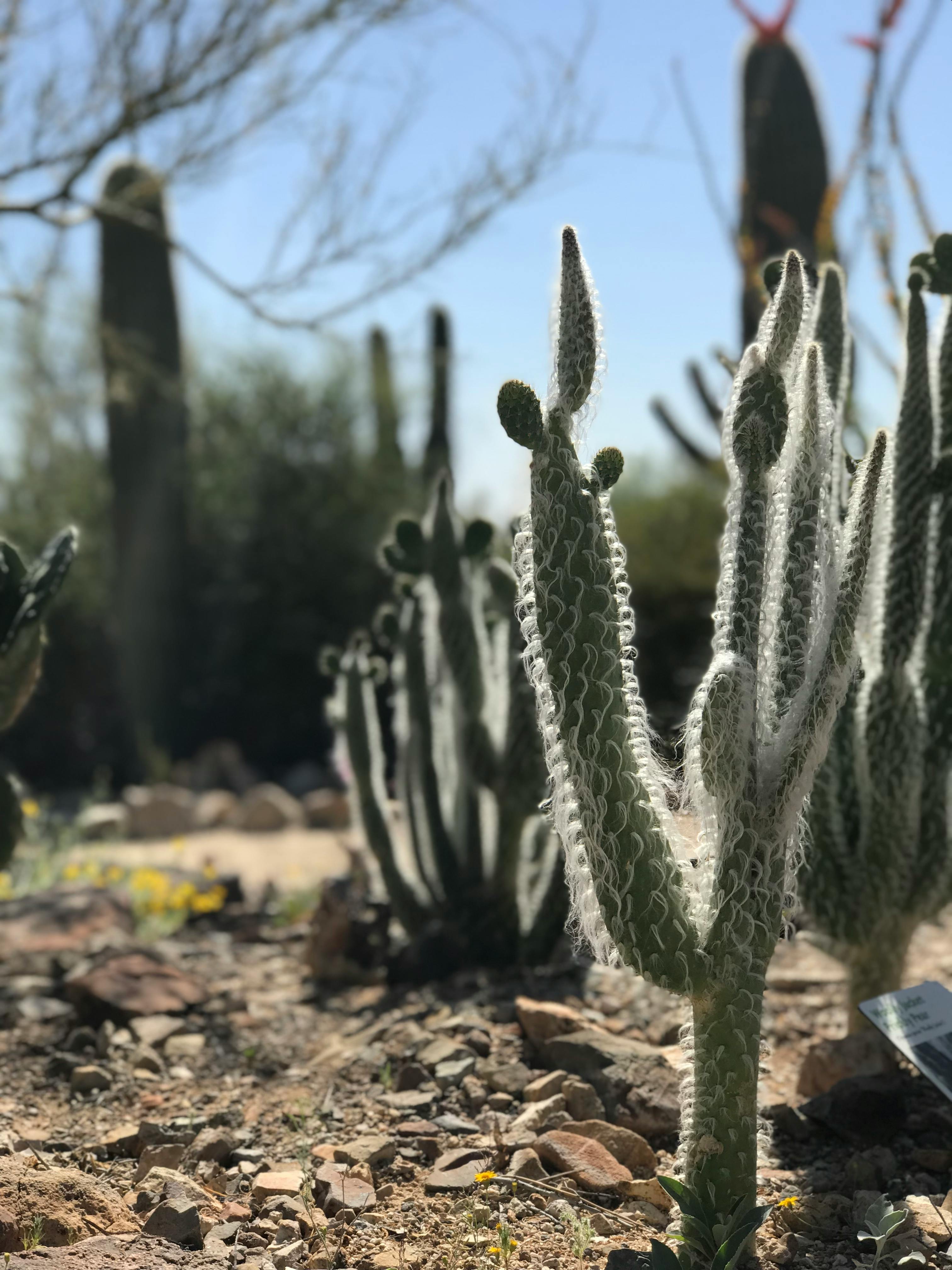 Arizona Travel 13 Photos & Videos Collected by David Keindel