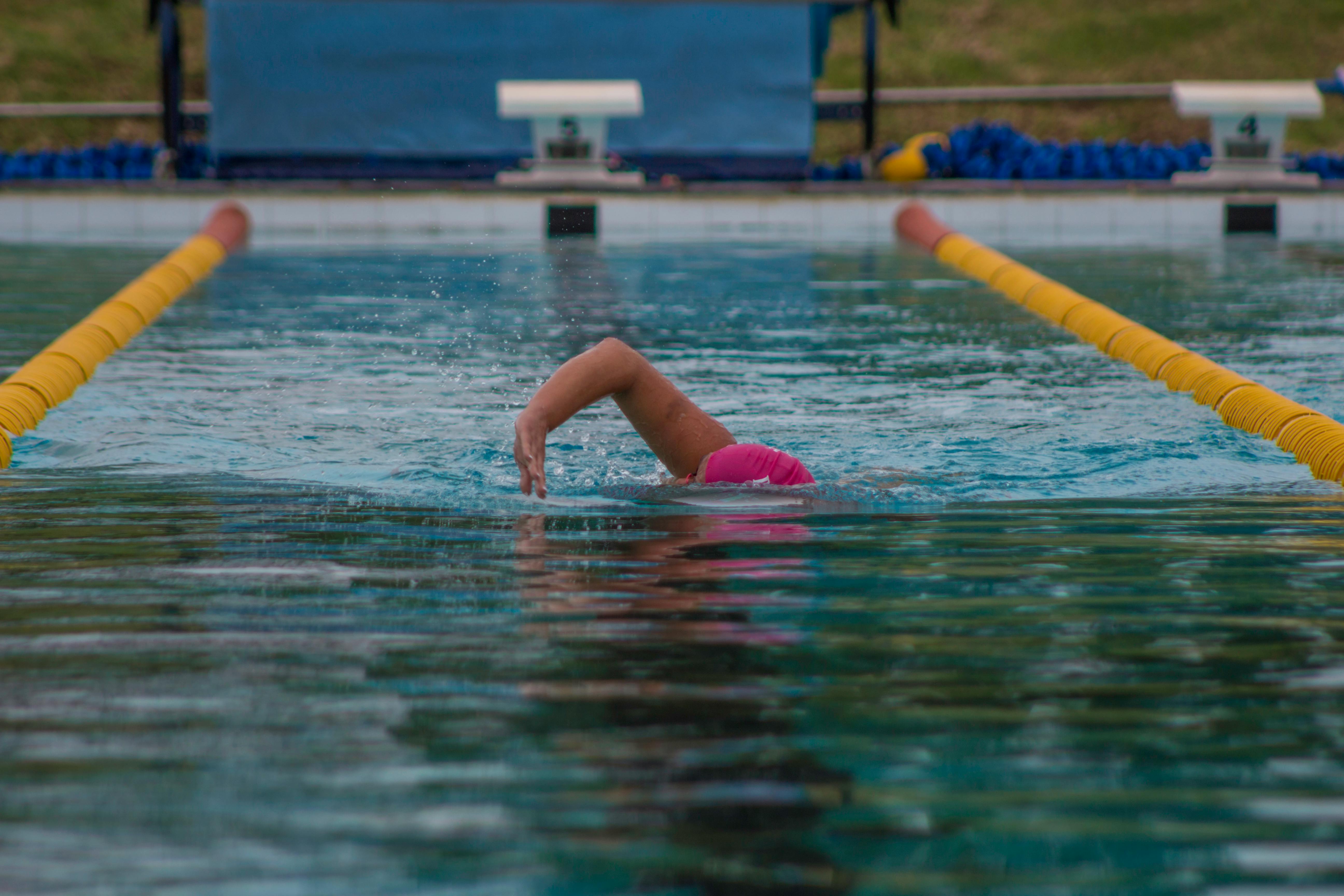 Free stock photo of sport, swim, swimmer