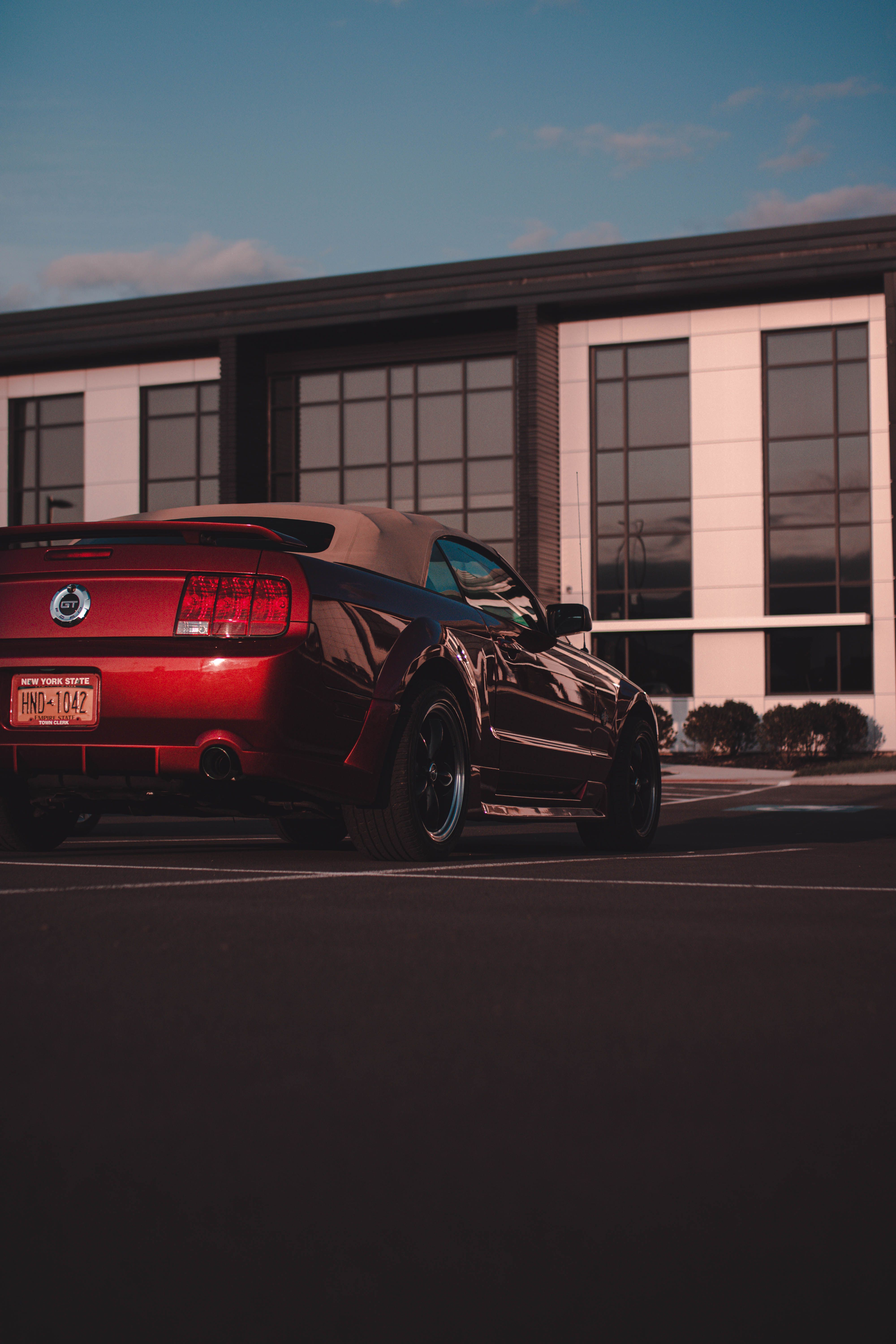 Ford Mustang on the Road · Free Stock Photo