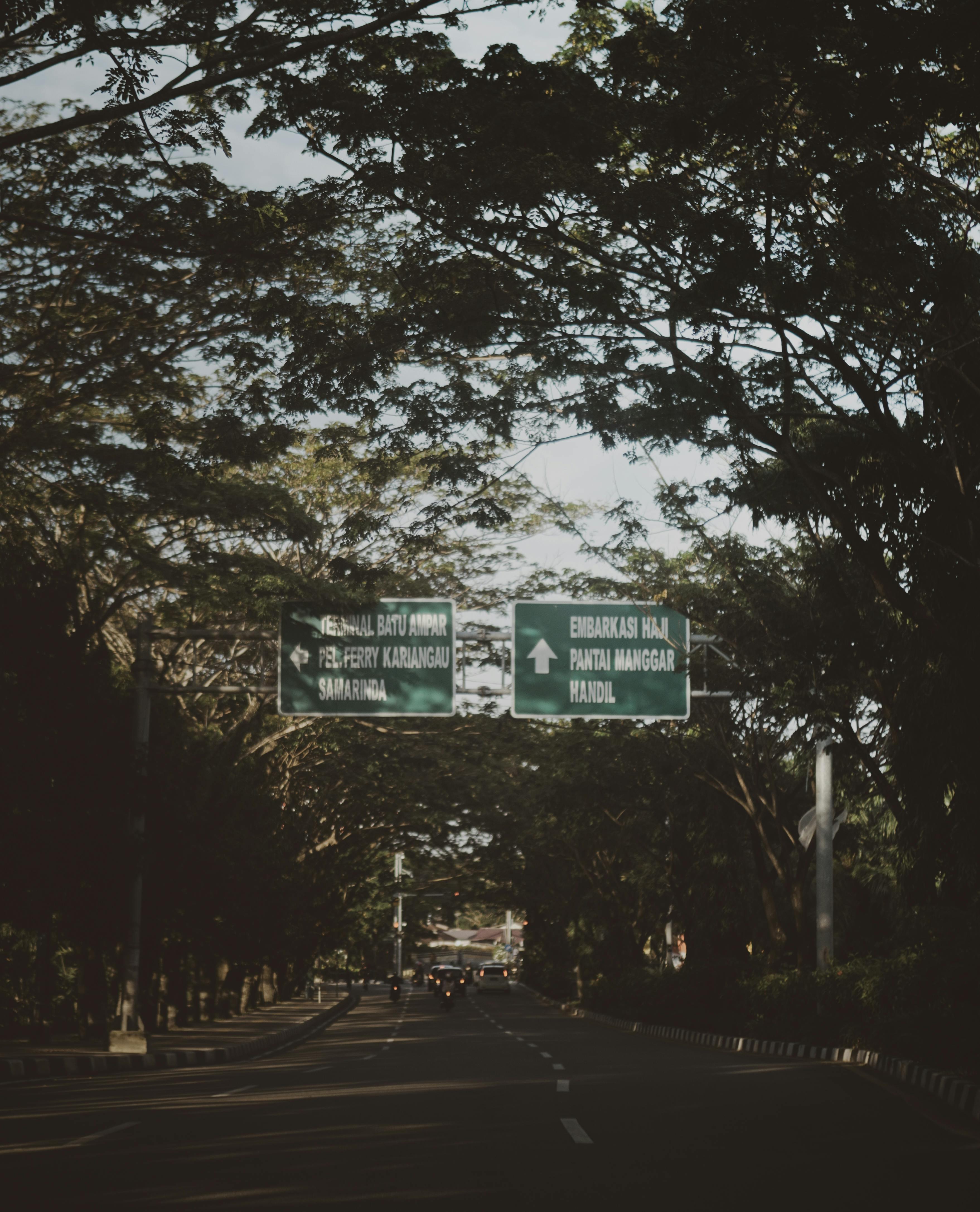 Street Signs Over Road · Free Stock Photo