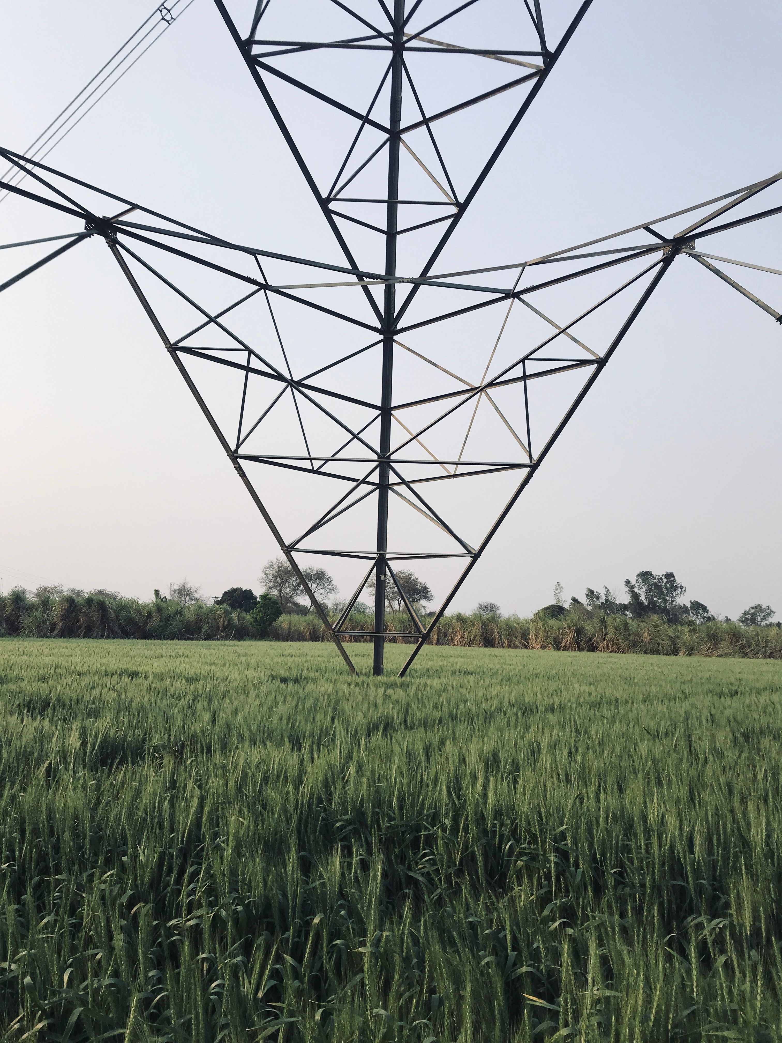 Base of the Transmission Tower Standing in a Grain Field · Free Stock Photo
