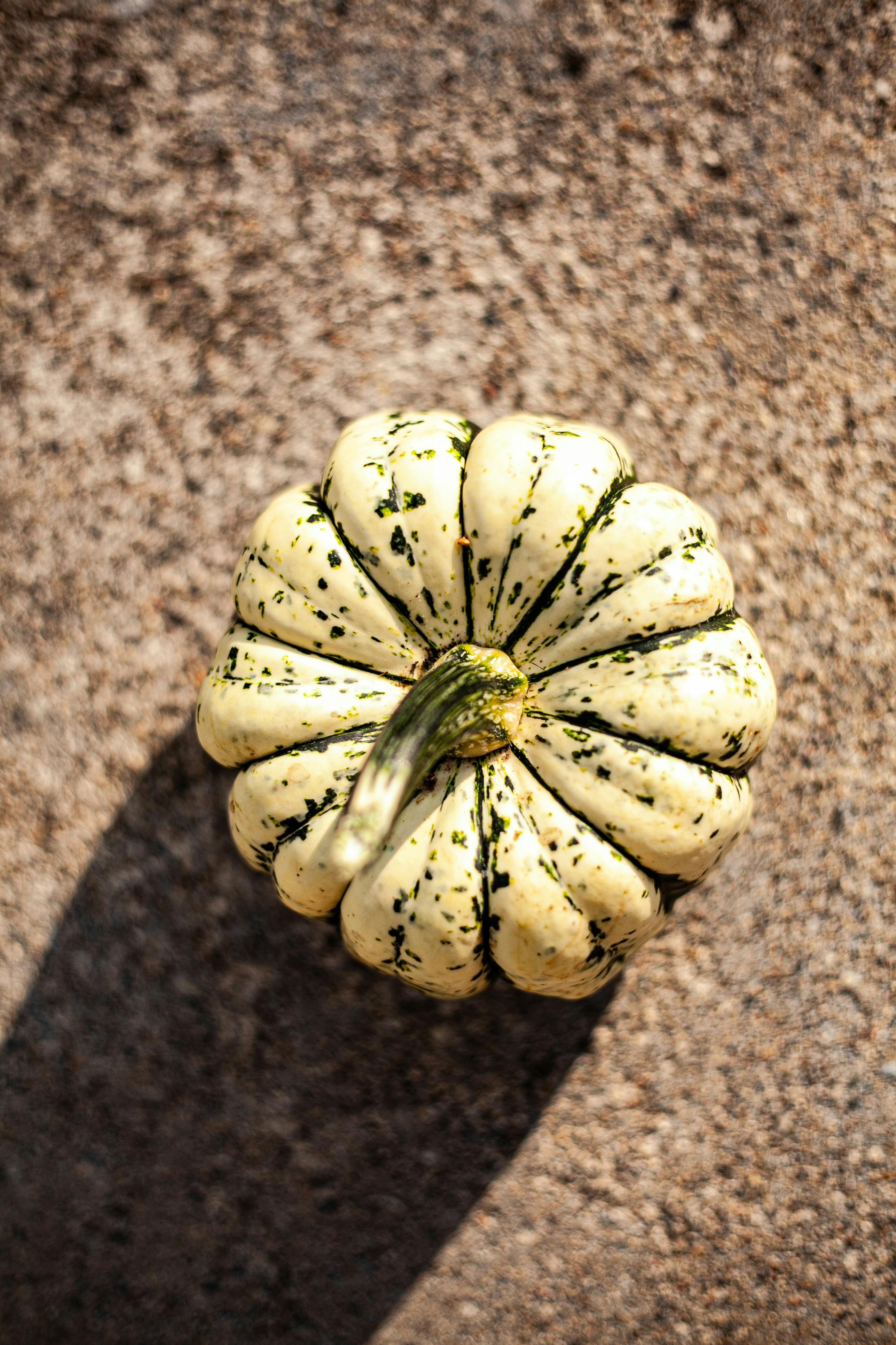 A Squash over the Pebbles Floor · Free Stock Photo