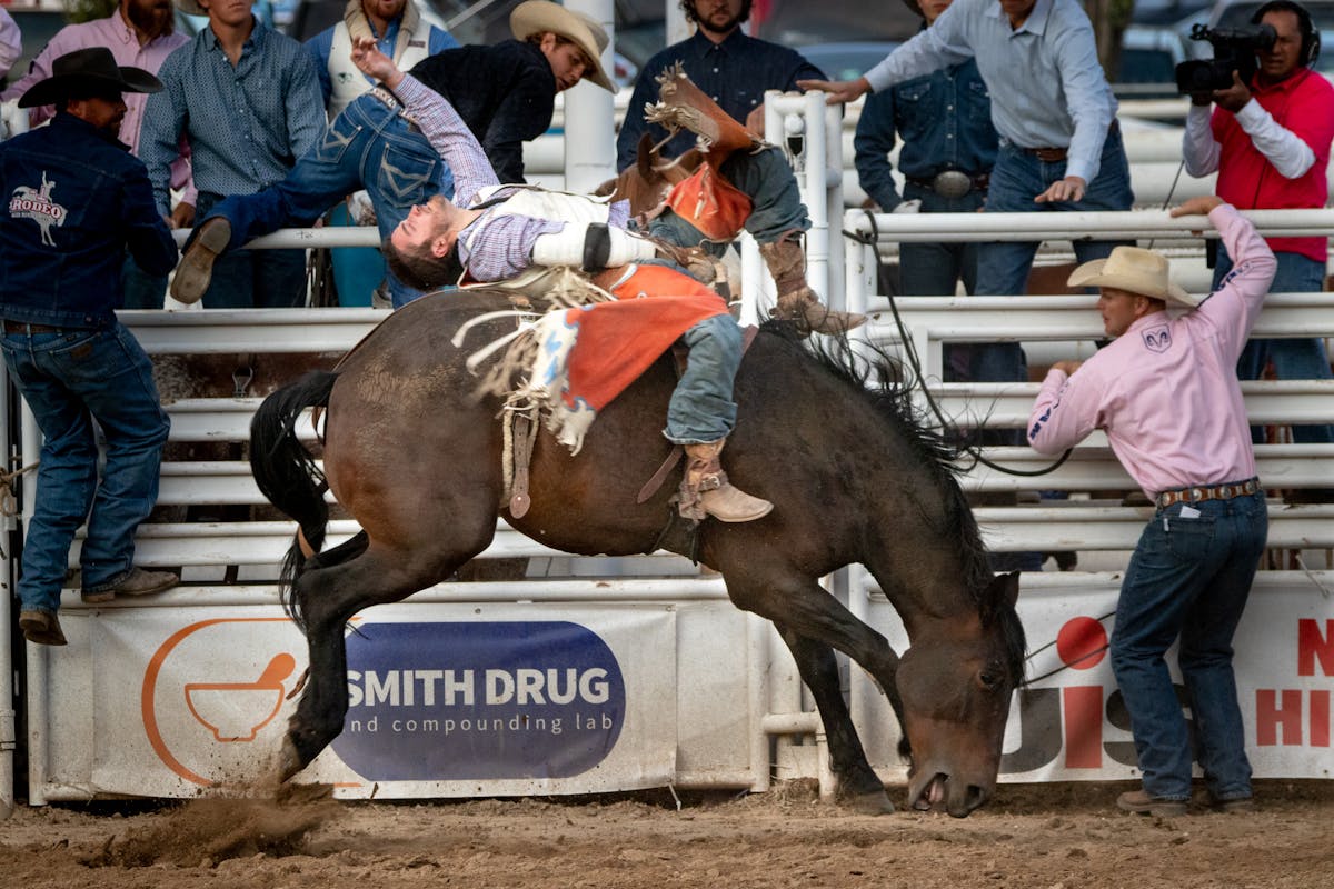 Bull Riding Photos, Download The BEST Free Bull Riding Stock Photos ...