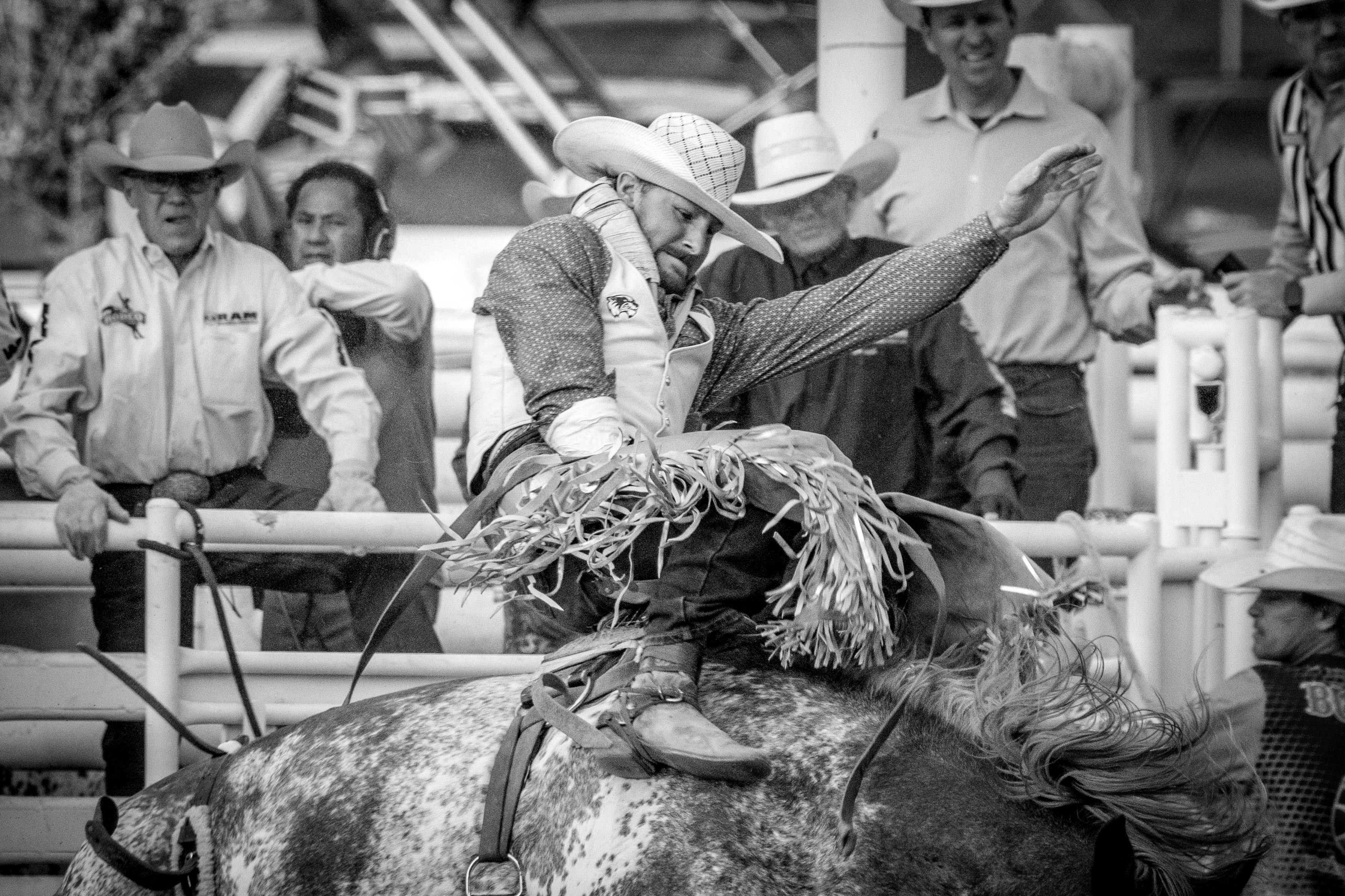 Rodeo 16 Photos & Videos Collected by Tony Mucci