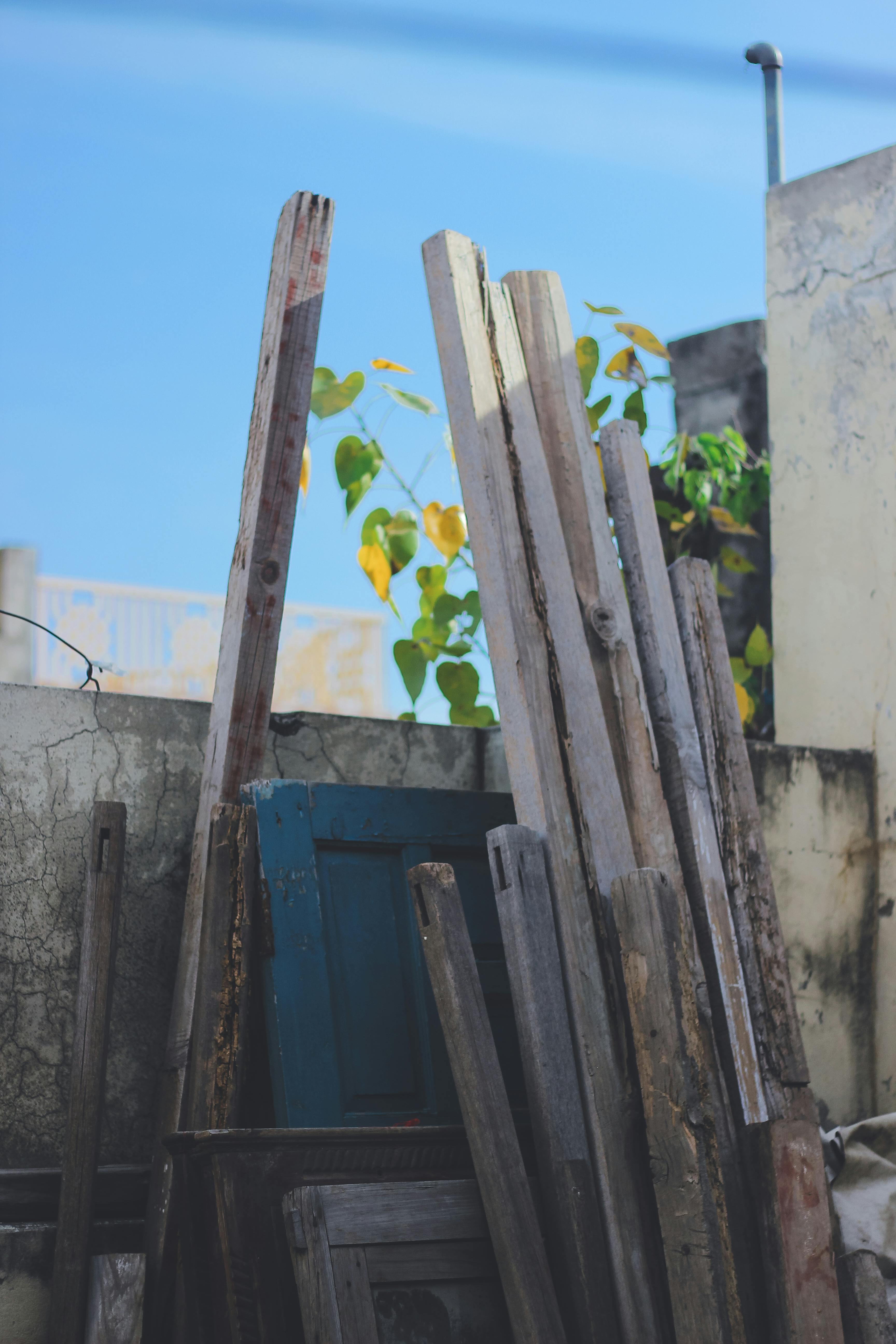 Stakes Photos, Download The BEST Free Stakes Stock Photos & HD Images