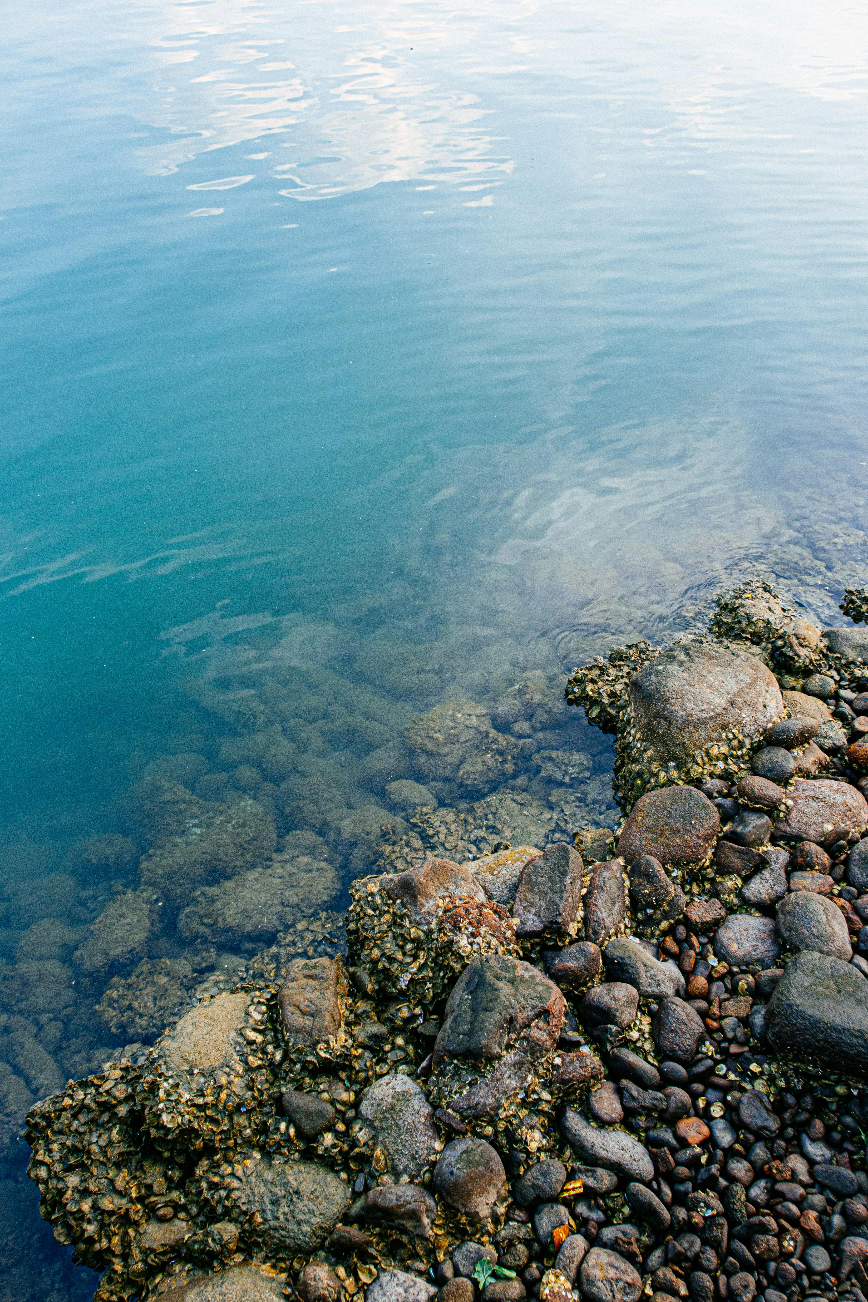 Calm sea near stony shore · Free Stock Photo