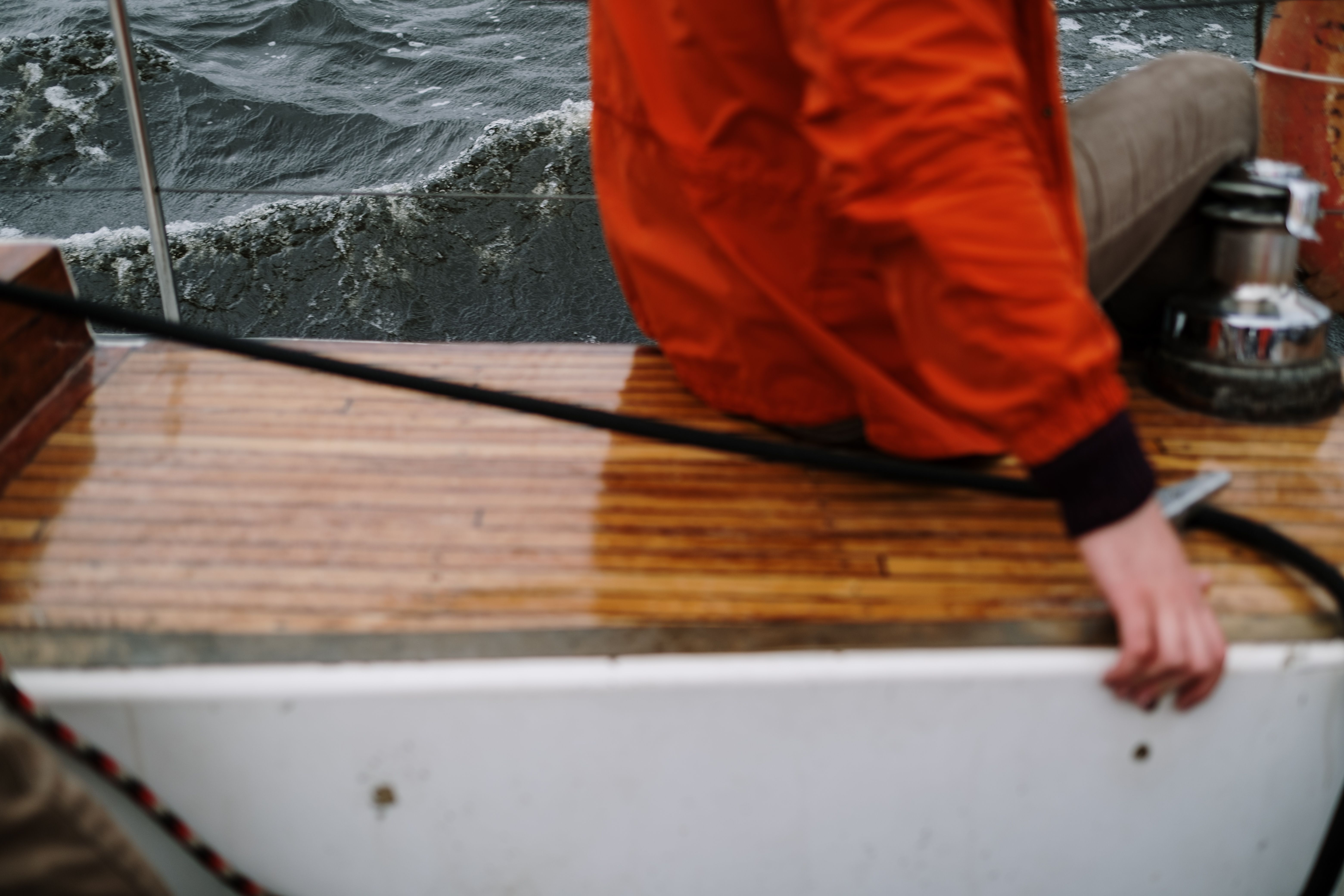 Fish Team Photos, Download The BEST Free Fish Team Stock Photos & HD Images