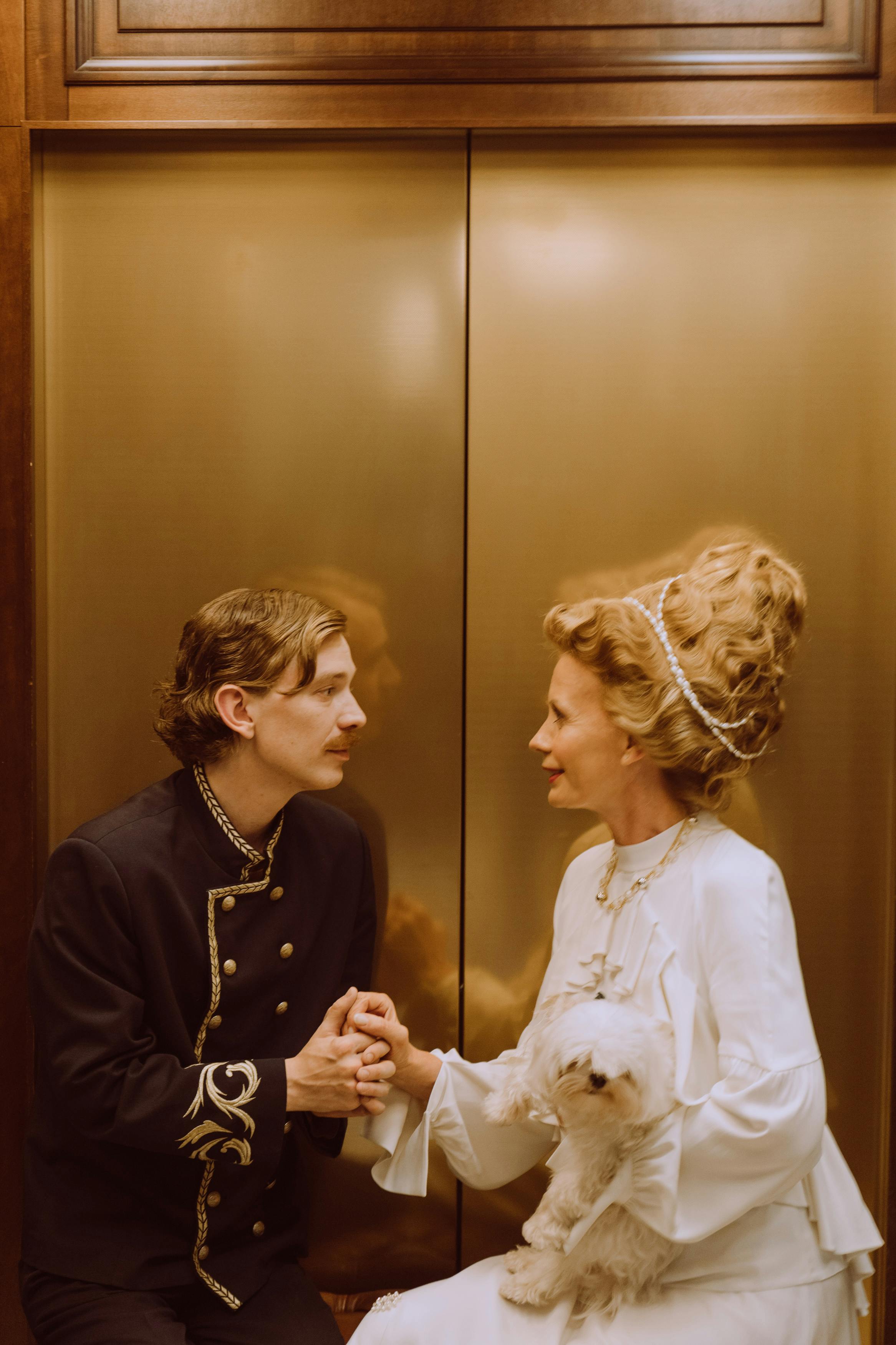 Staff Dog Photos, Download The BEST Free Staff Dog Stock Photos & HD Images