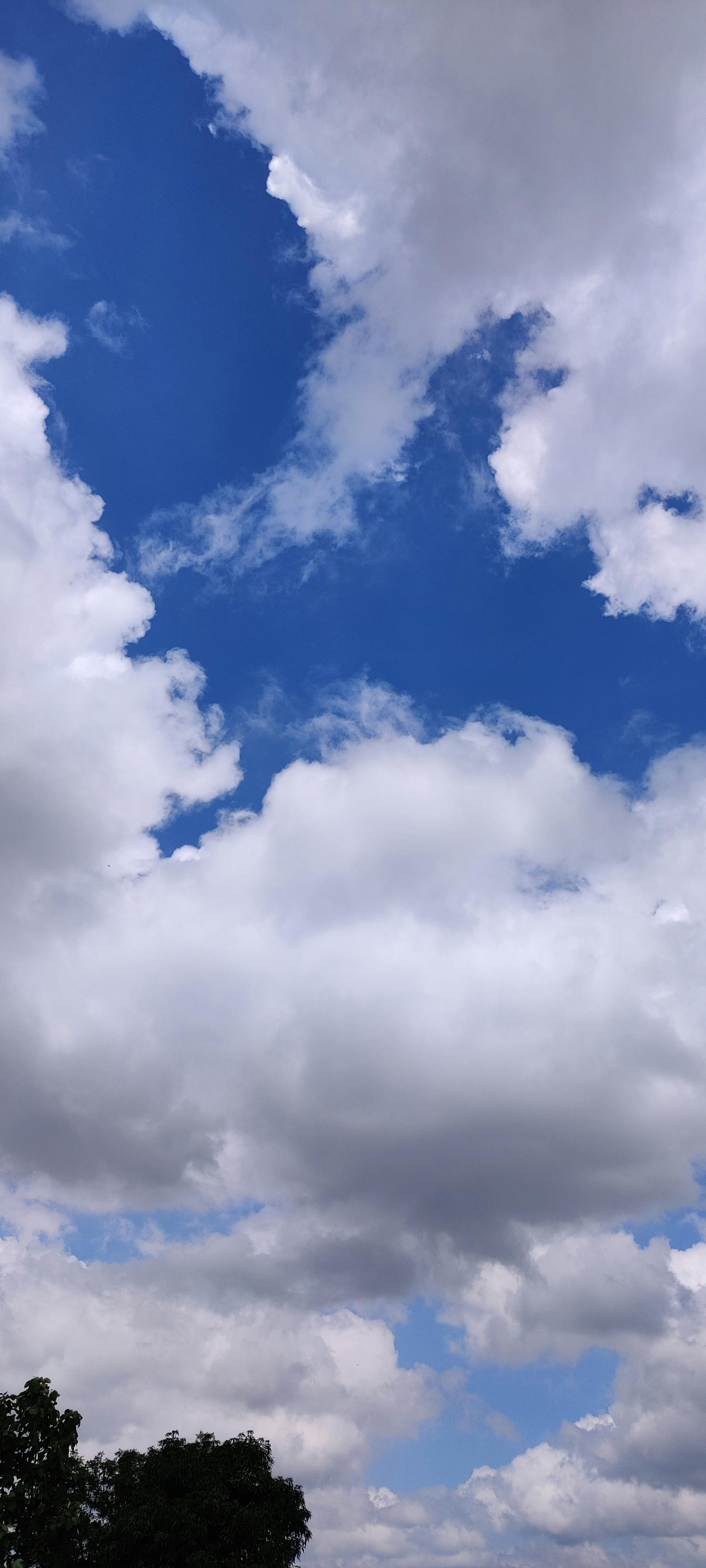 Omkar Patel - Photography