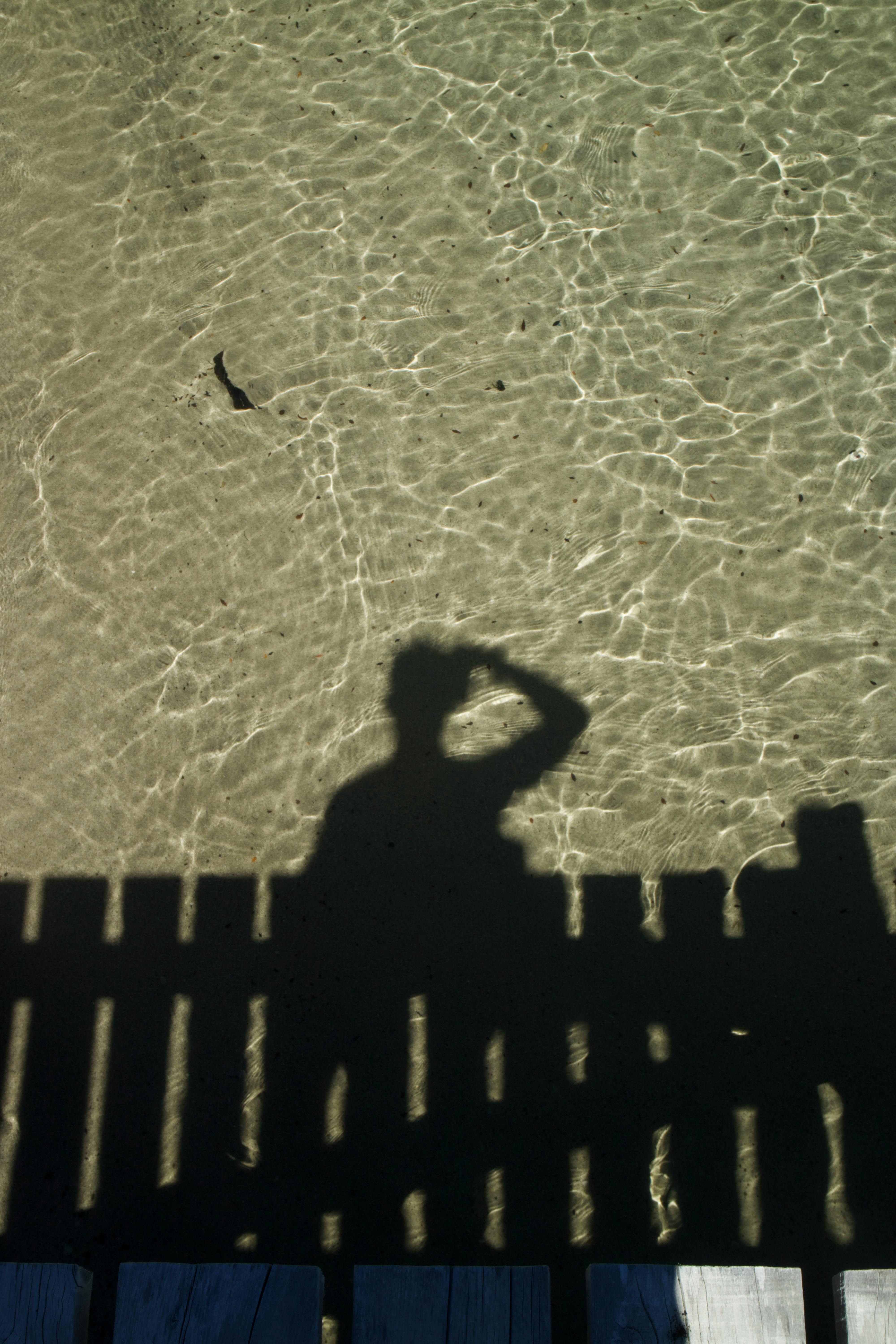 A Shadow on the Water · Free Stock Photo