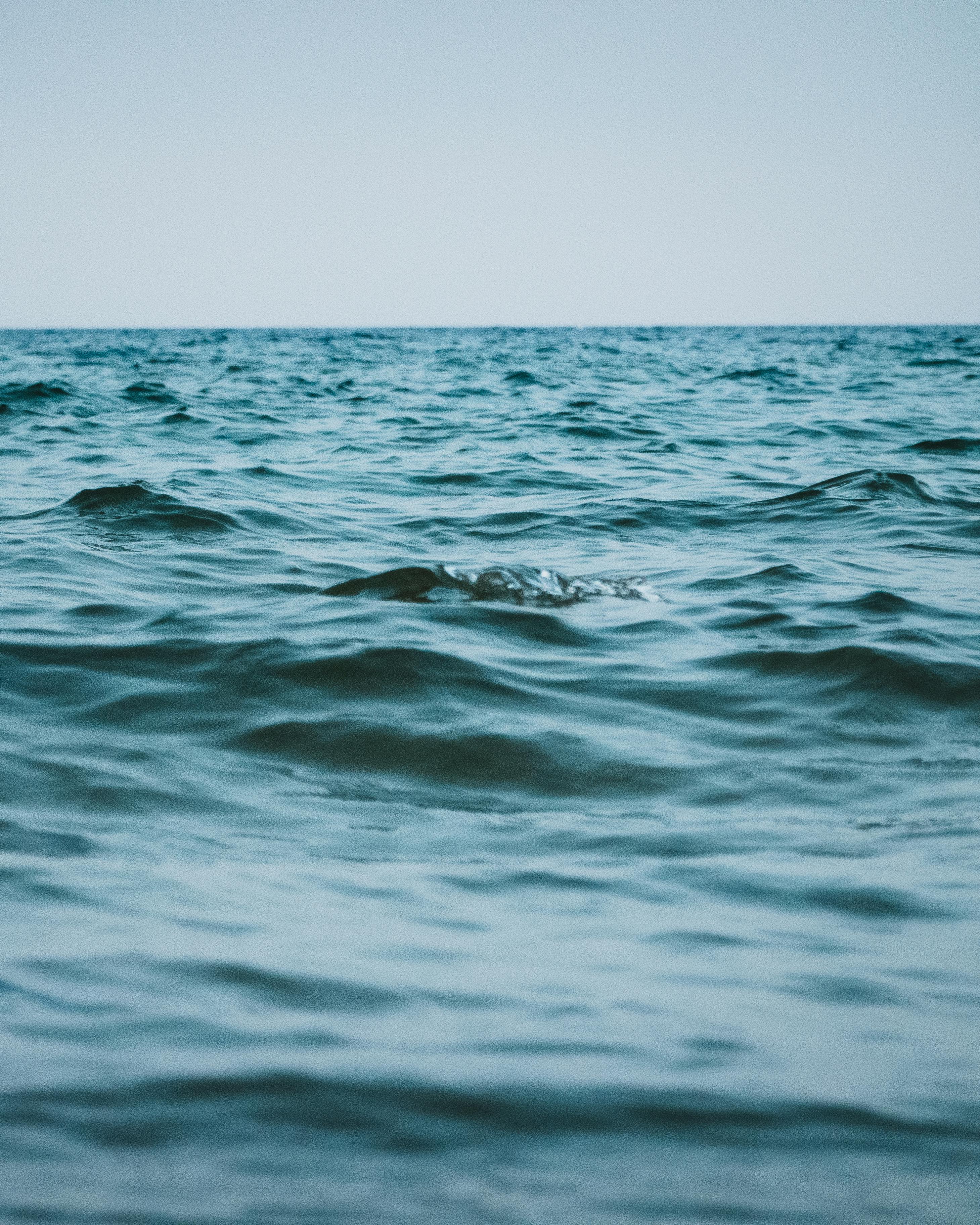 Surface of the Sea with Small Waves · Free Stock Photo