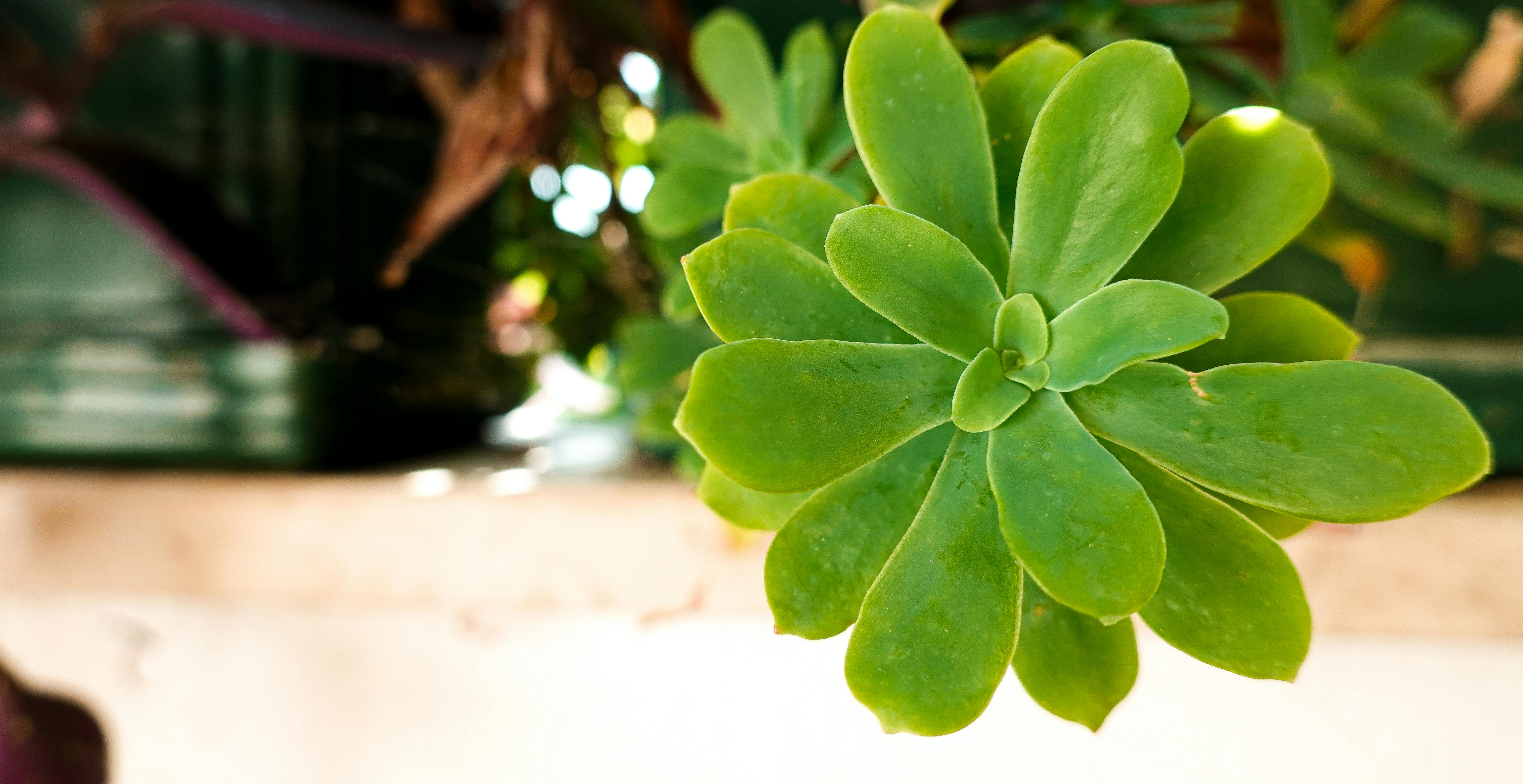 Still life 4 Photos & Videos Collected by Reuben K Sam