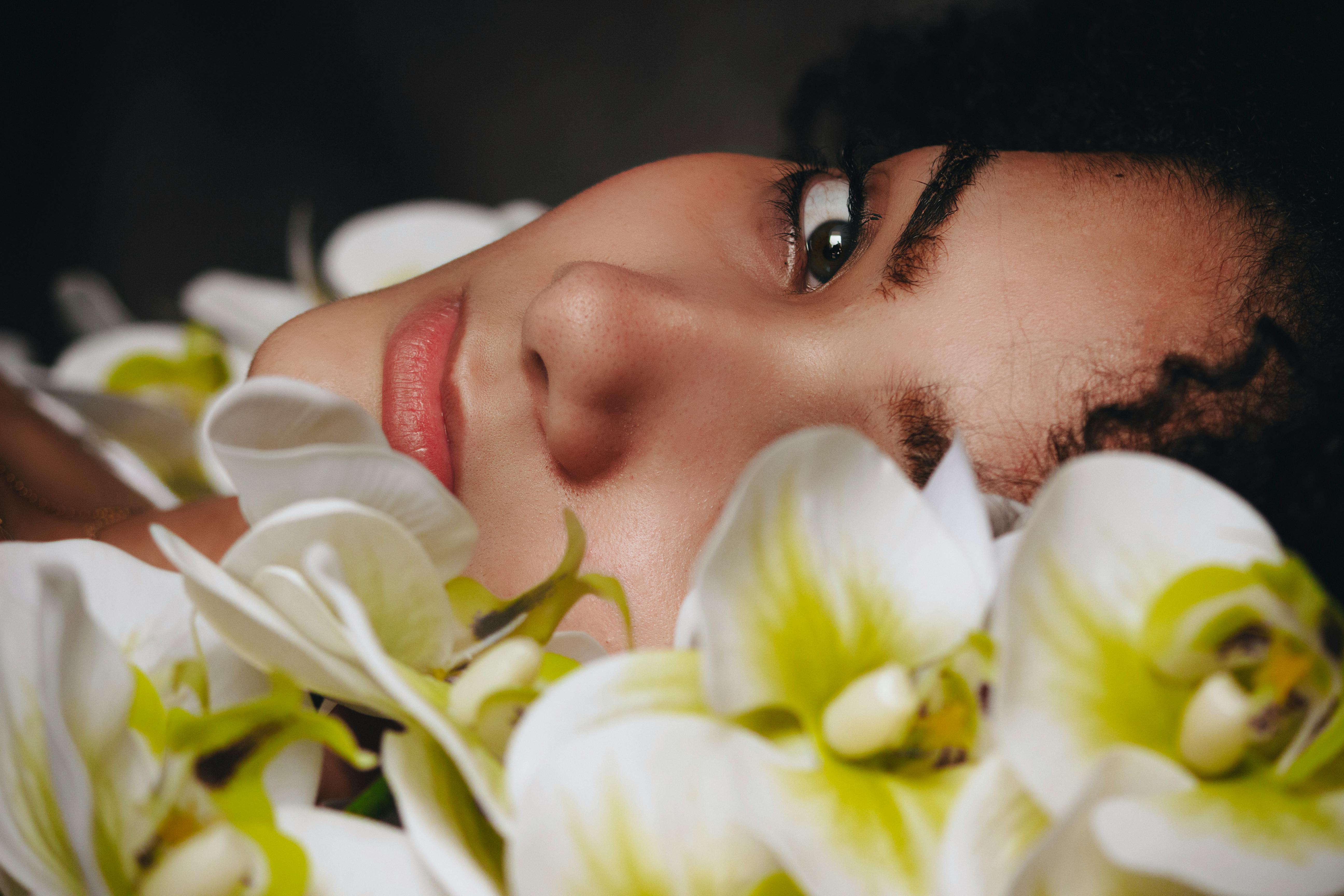 Orhide Photos, Download The BEST Free Orhide Stock Photos & HD Images