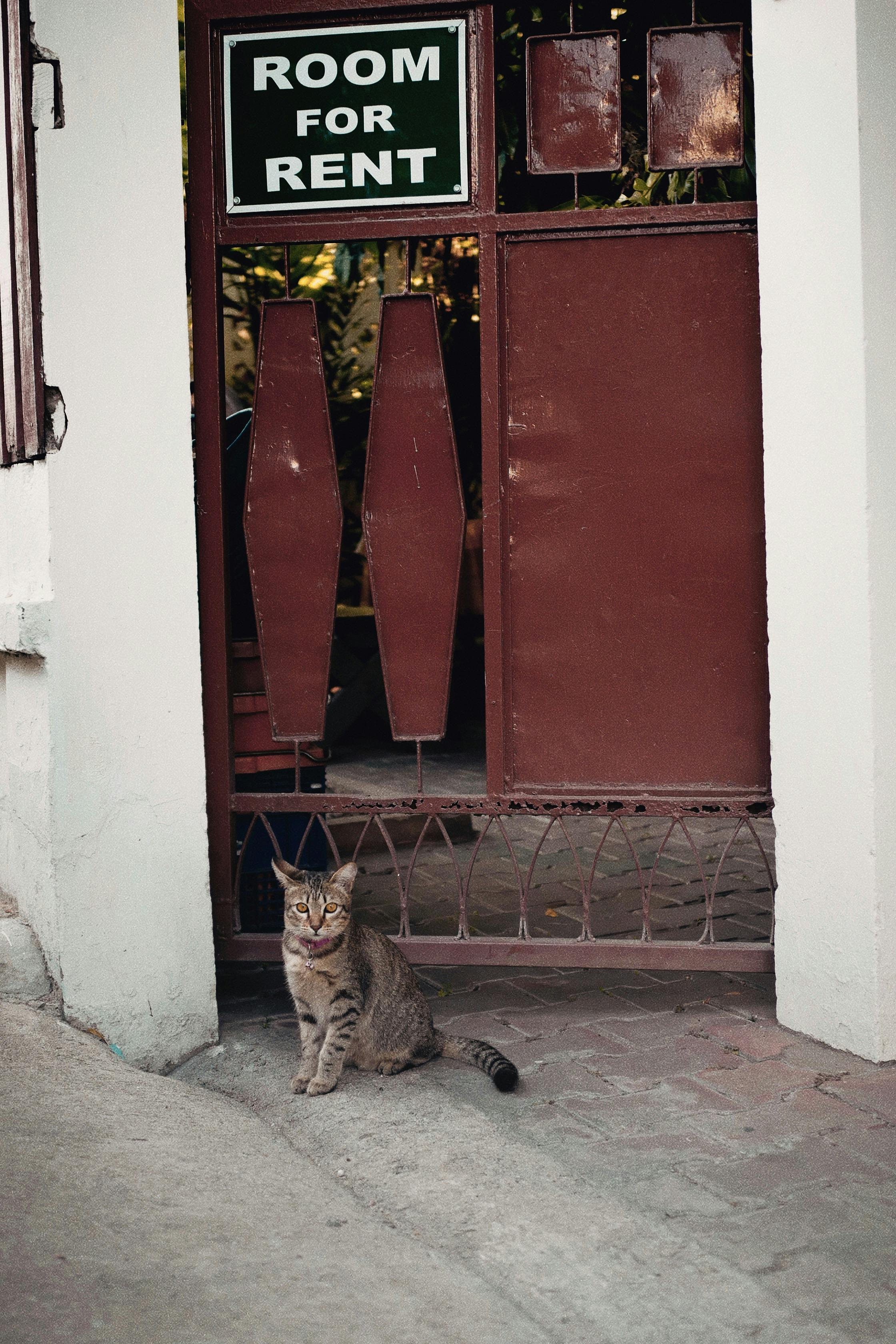 Room For Rent Photos, Download The BEST Free Room For Rent Stock Photos ...