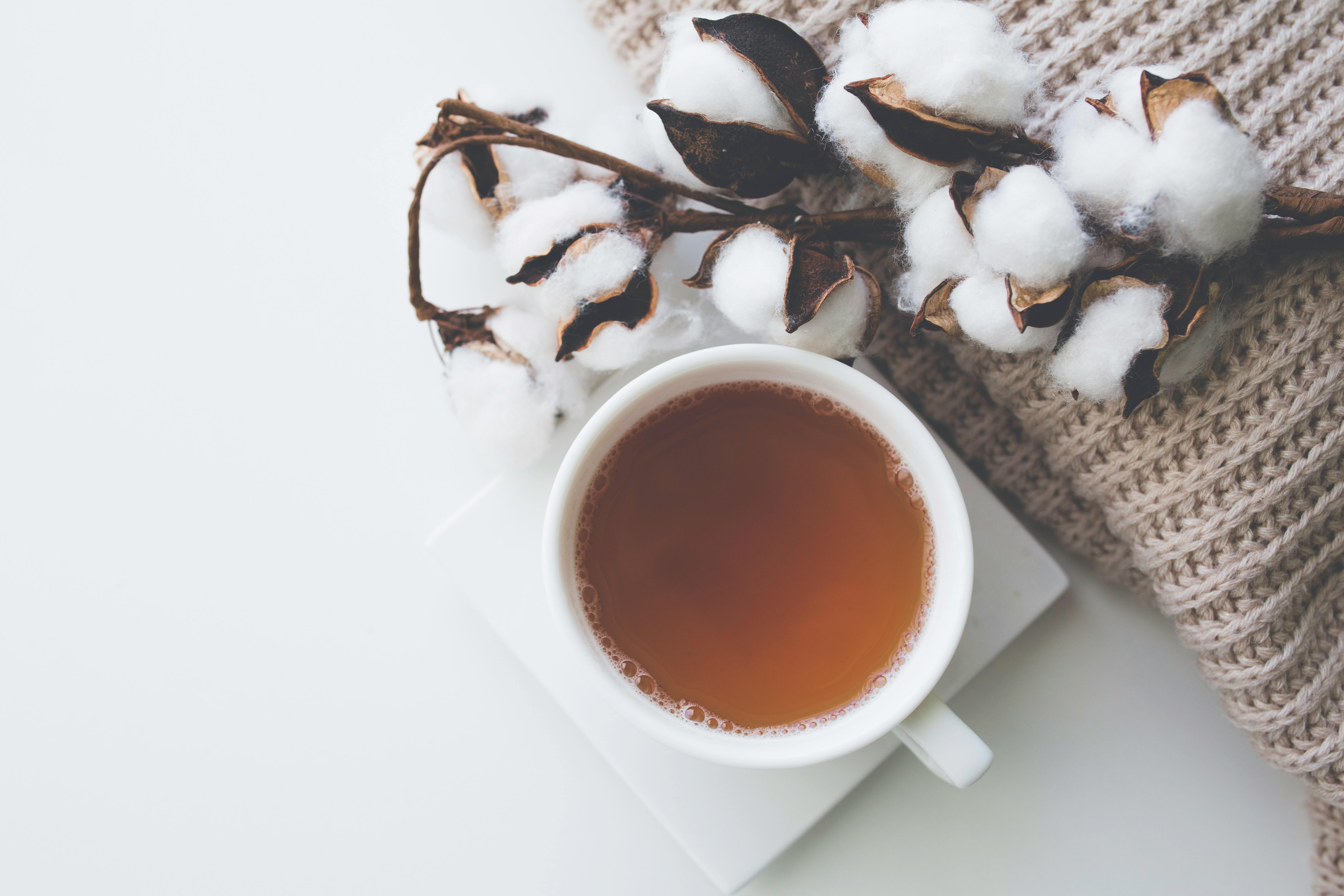 A Close-Up Shot of a Cup of Tea · Free Stock Photo