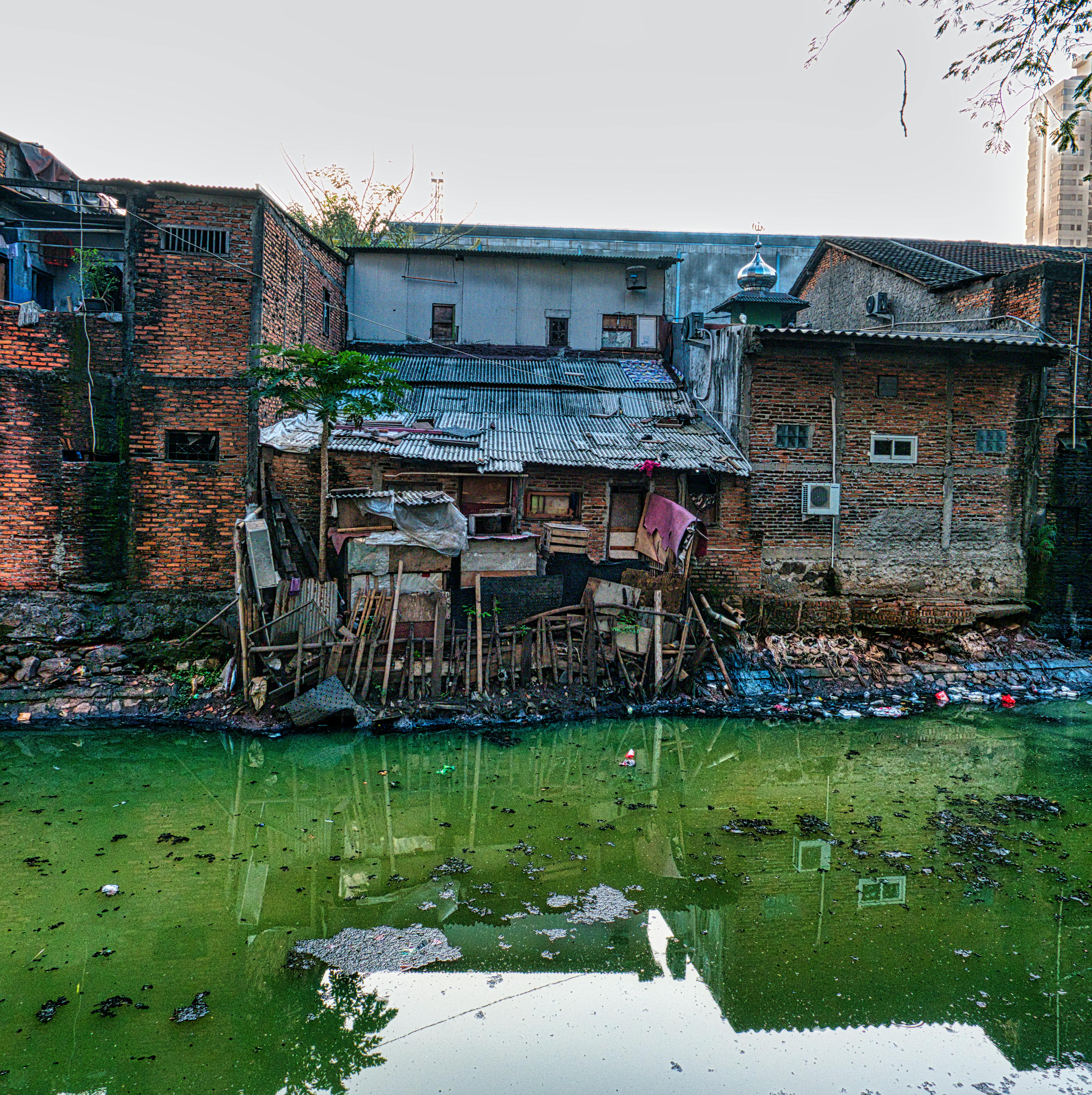 Foto de stock gratuita sobre abandonado, agua, aguas residuales, árbol ...