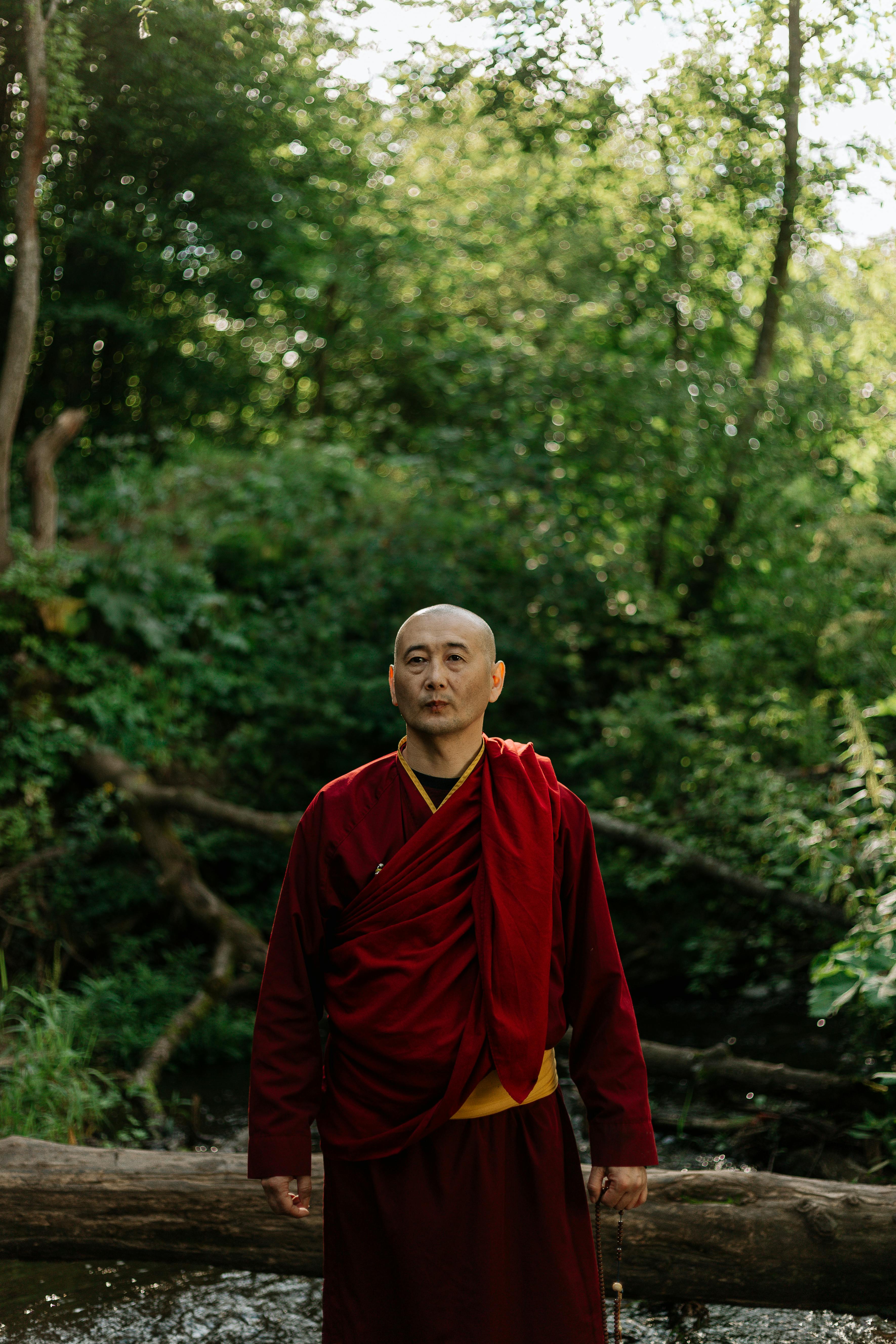 Monk in a Forest · Free Stock Photo