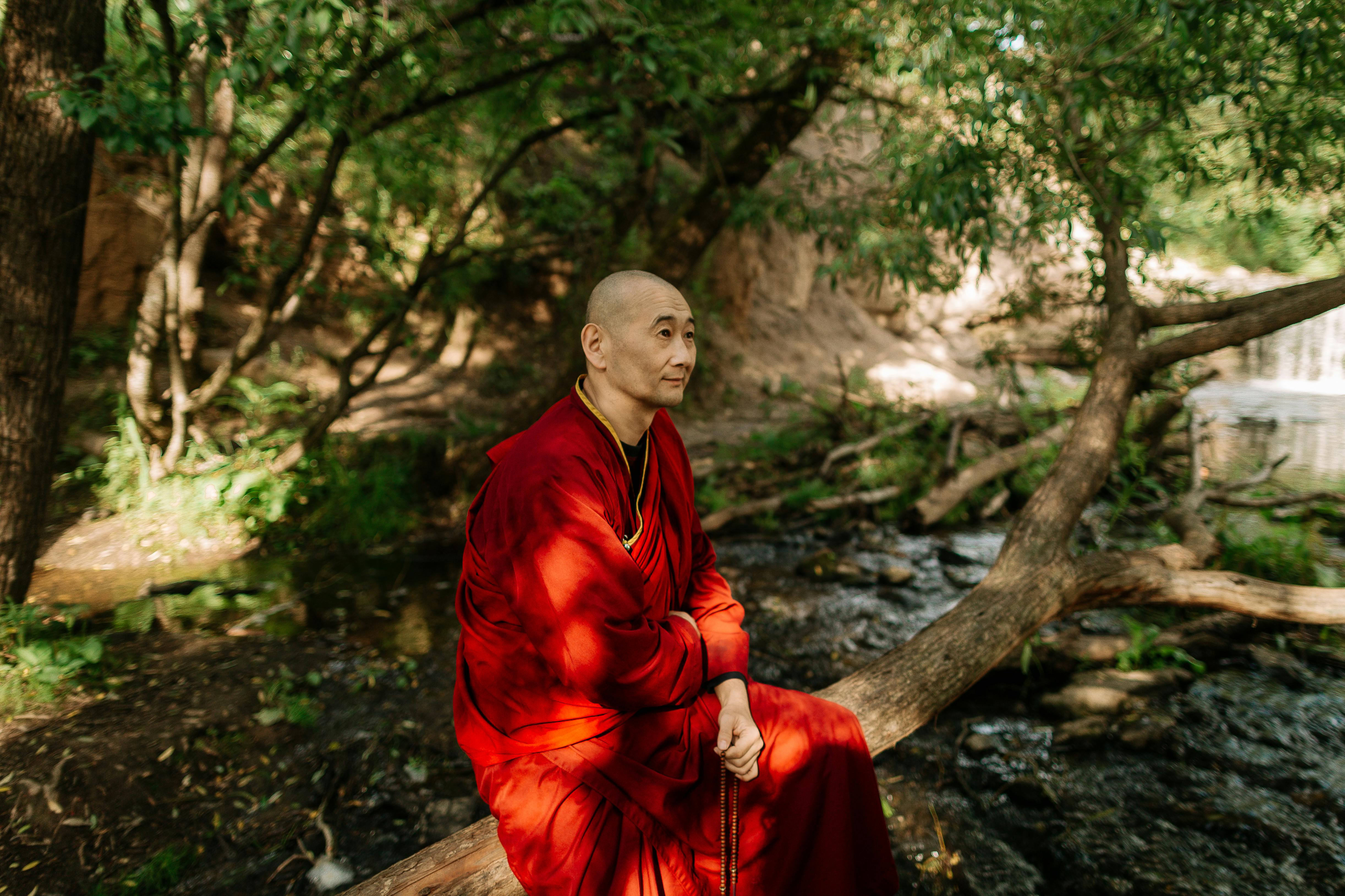 A Monk Sitting on a Tree Trunk · Free Stock Photo